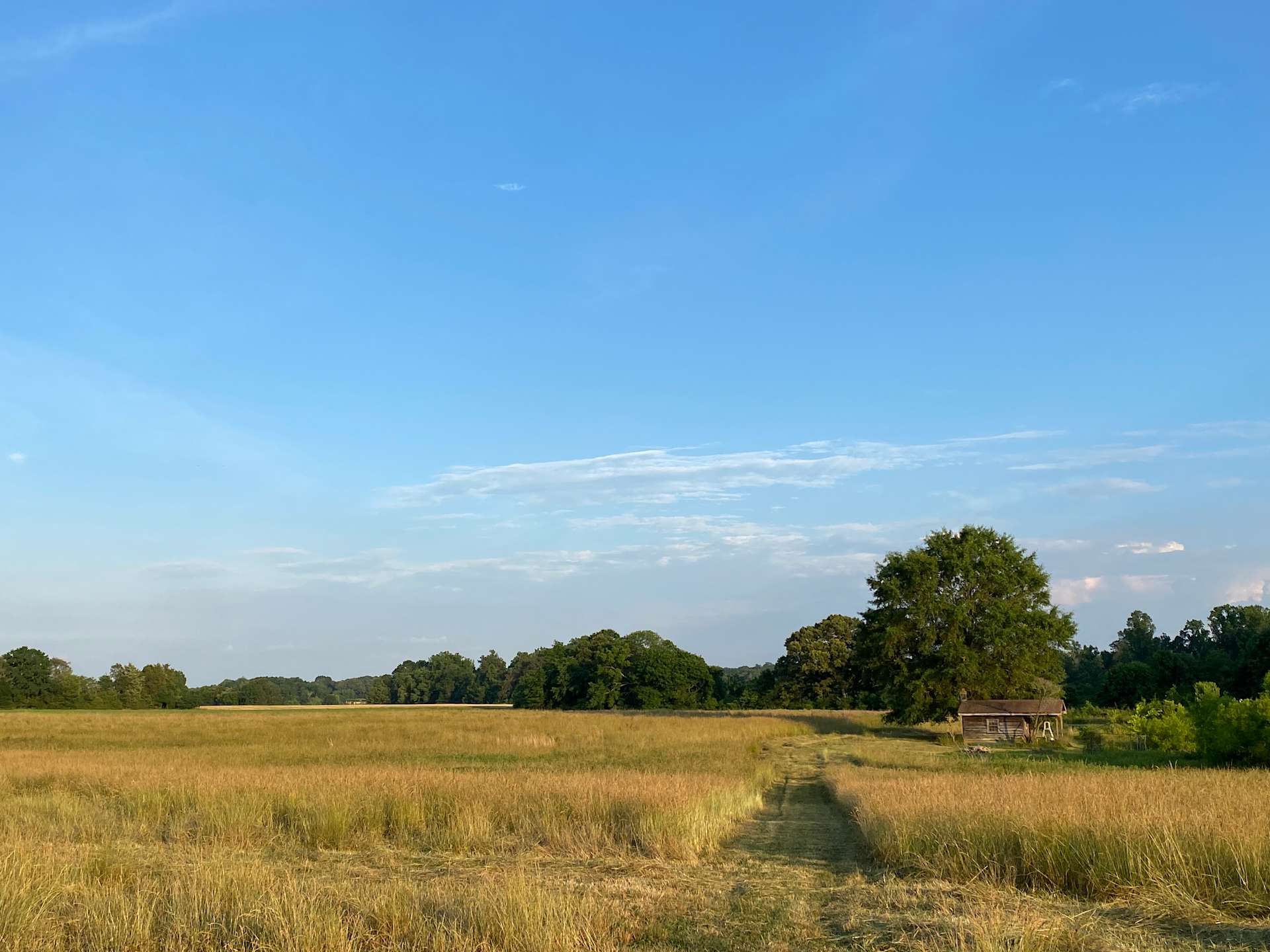 The Homestead - Hipcamp in Salisbury, North Carolina
