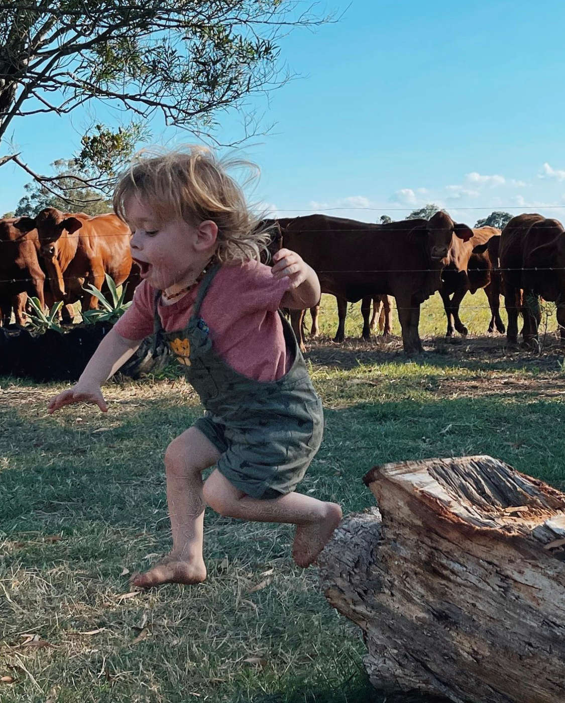 Lake Hagislea Farm - Hipcamp in Haigslea, Queensland