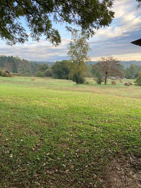 Garner Smith Field - Hipcamp in Gainesville, Georgia