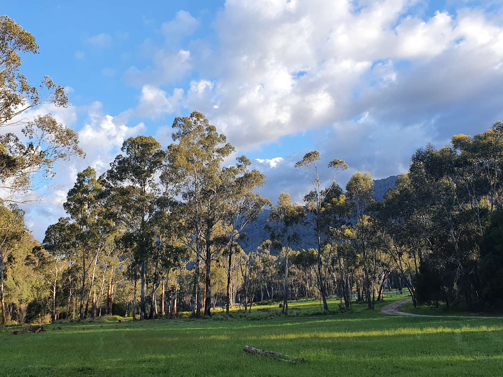 High Country Paradise - Hipcamp in Myrtleford, Victoria