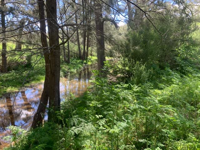 Sofala - Hipcamp in Sofala, New South Wales