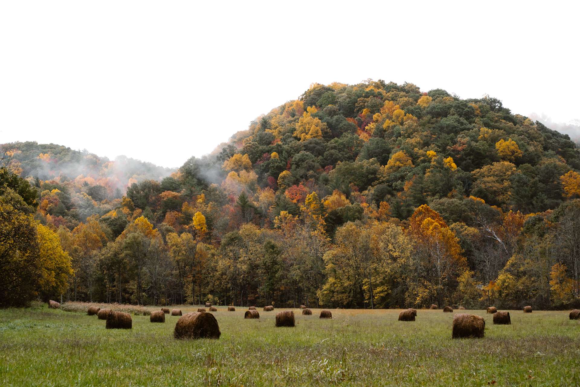 Beech Grove River Spot - Hipcamp in , Virginia