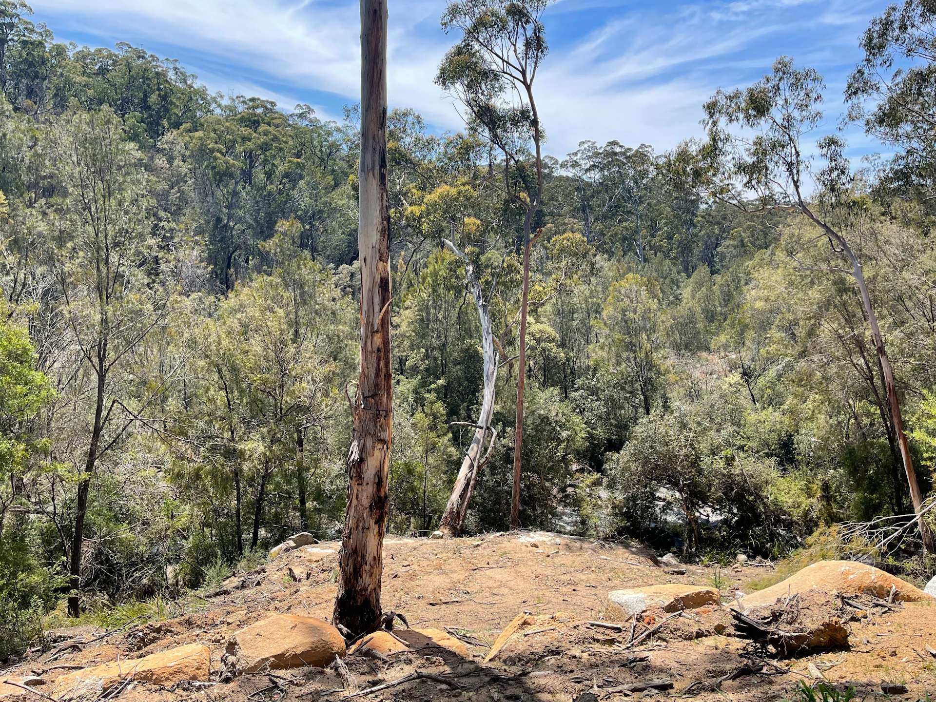 Thurra Bush Camping - Hipcamp in Tamboon, Victoria