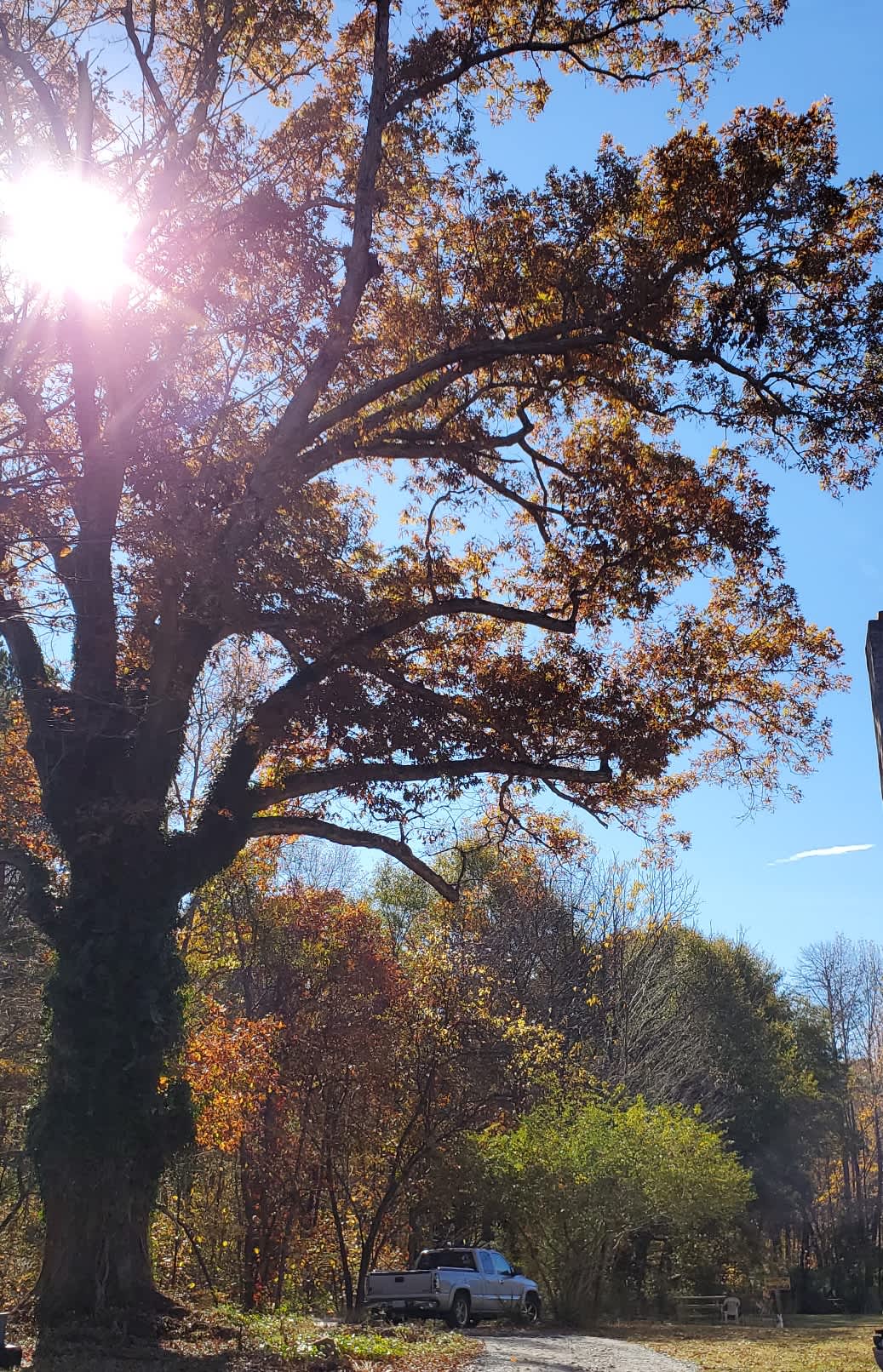 Hippie Holler Camping - Hipcamp in , North Carolina