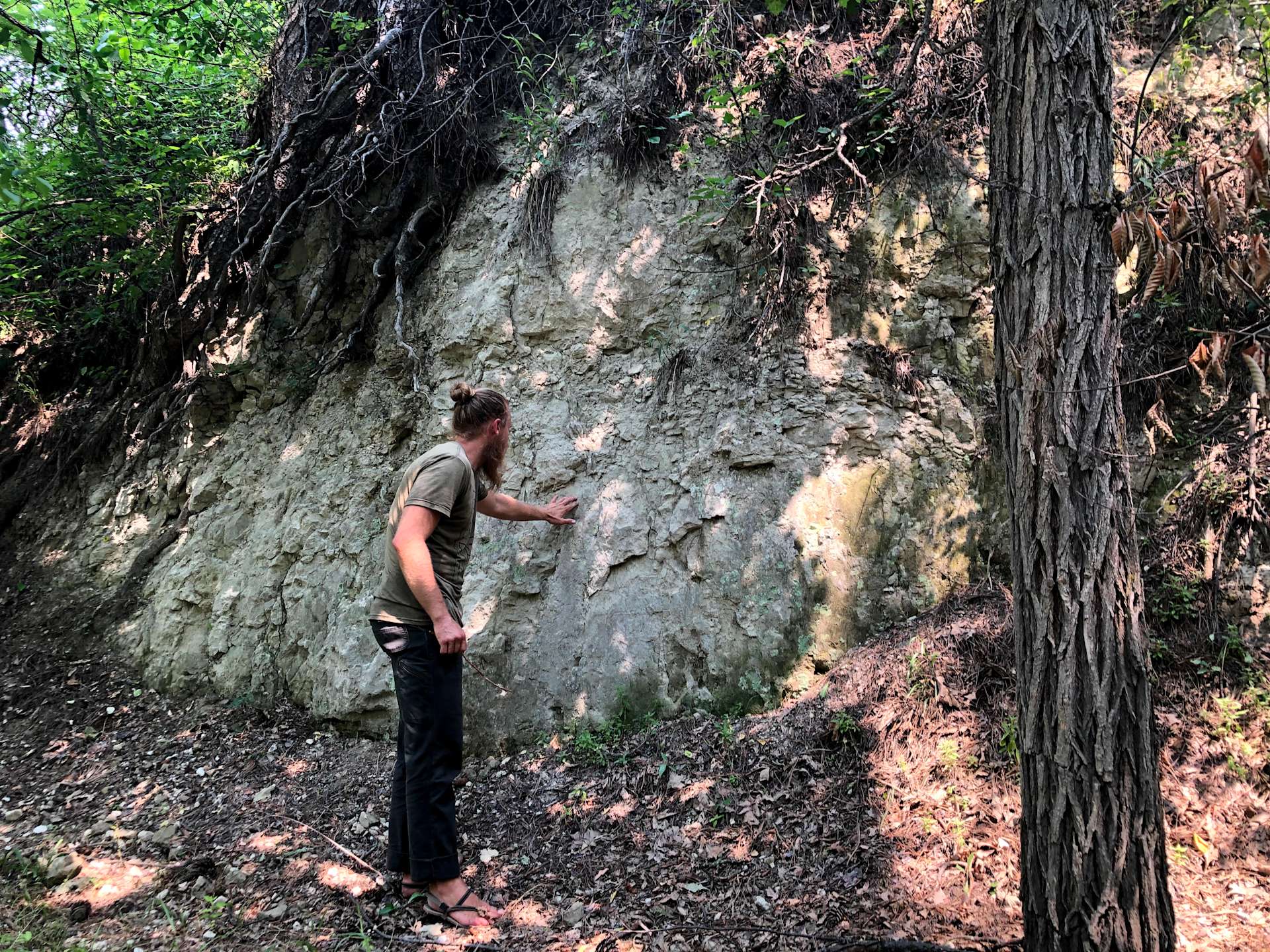 Woodland Ranch - Hipcamp in Allen, South Dakota