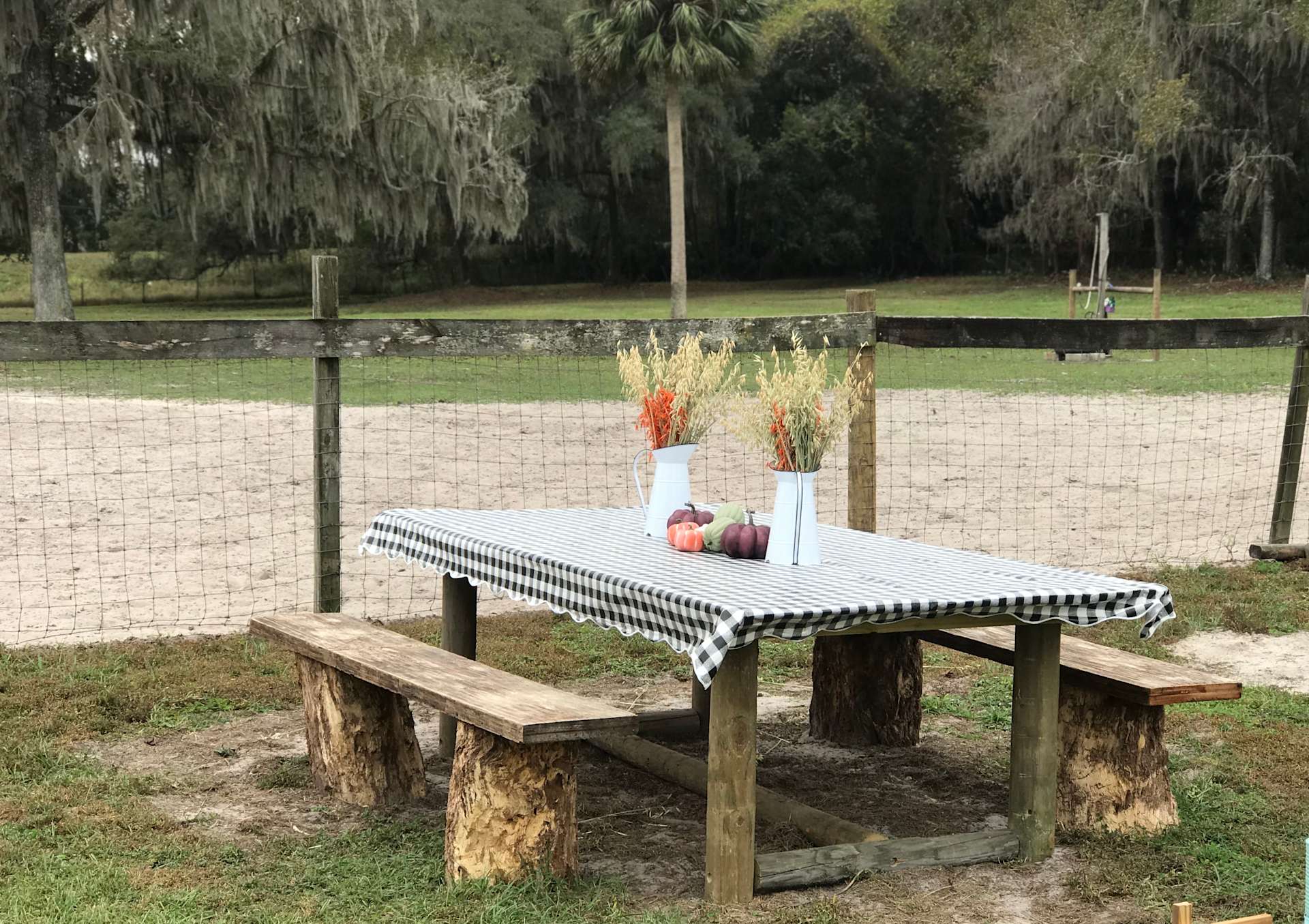 Collins Farm - Hipcamp in Micanopy, Florida