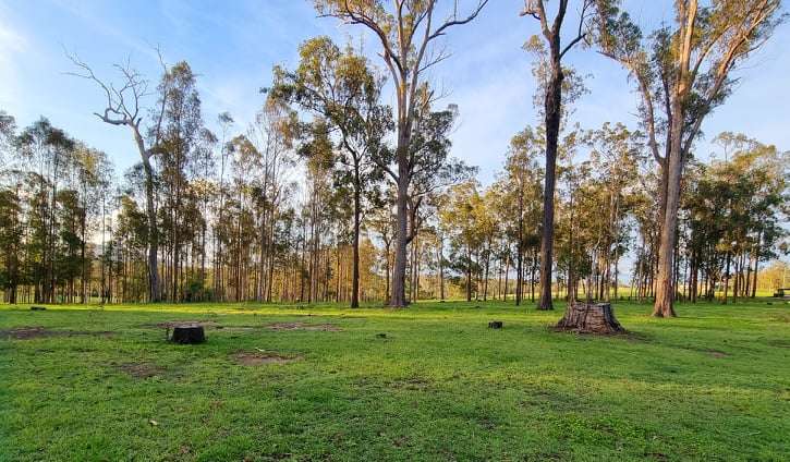Nyima at Bauple Mountain - Hipcamp in Bauple, Queensland