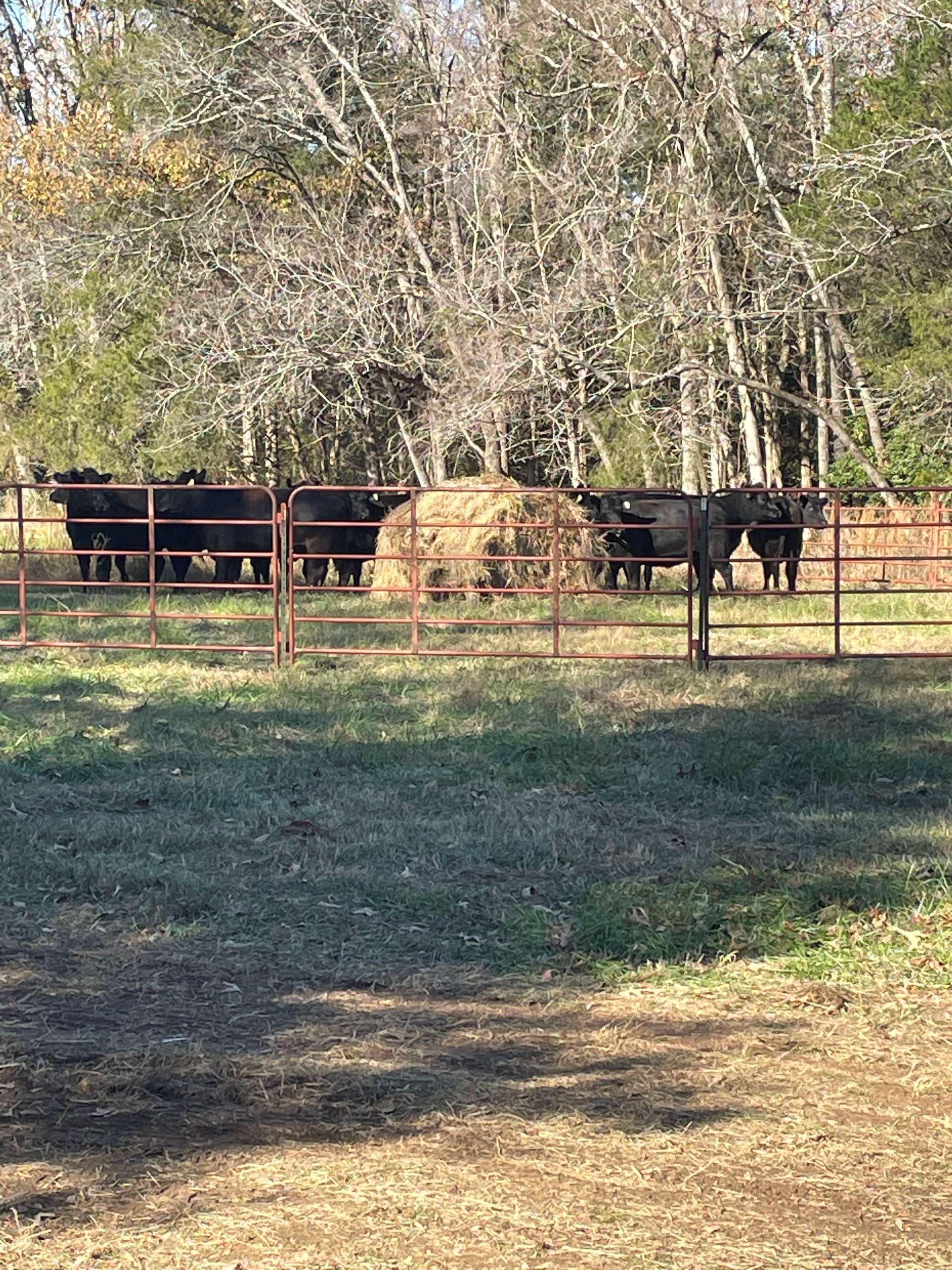 Primitive tent sites - Hipcamp in Goochland, Virginia