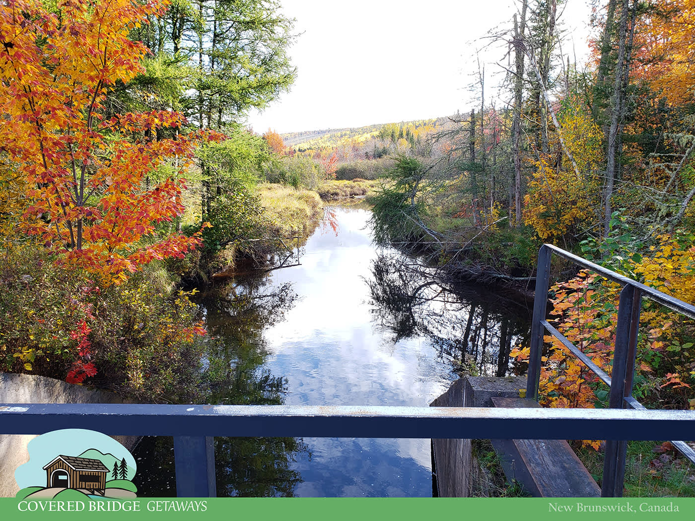 Anagance Lake Camping NB-104 - Hipcamp in Moncton, New Brunswick