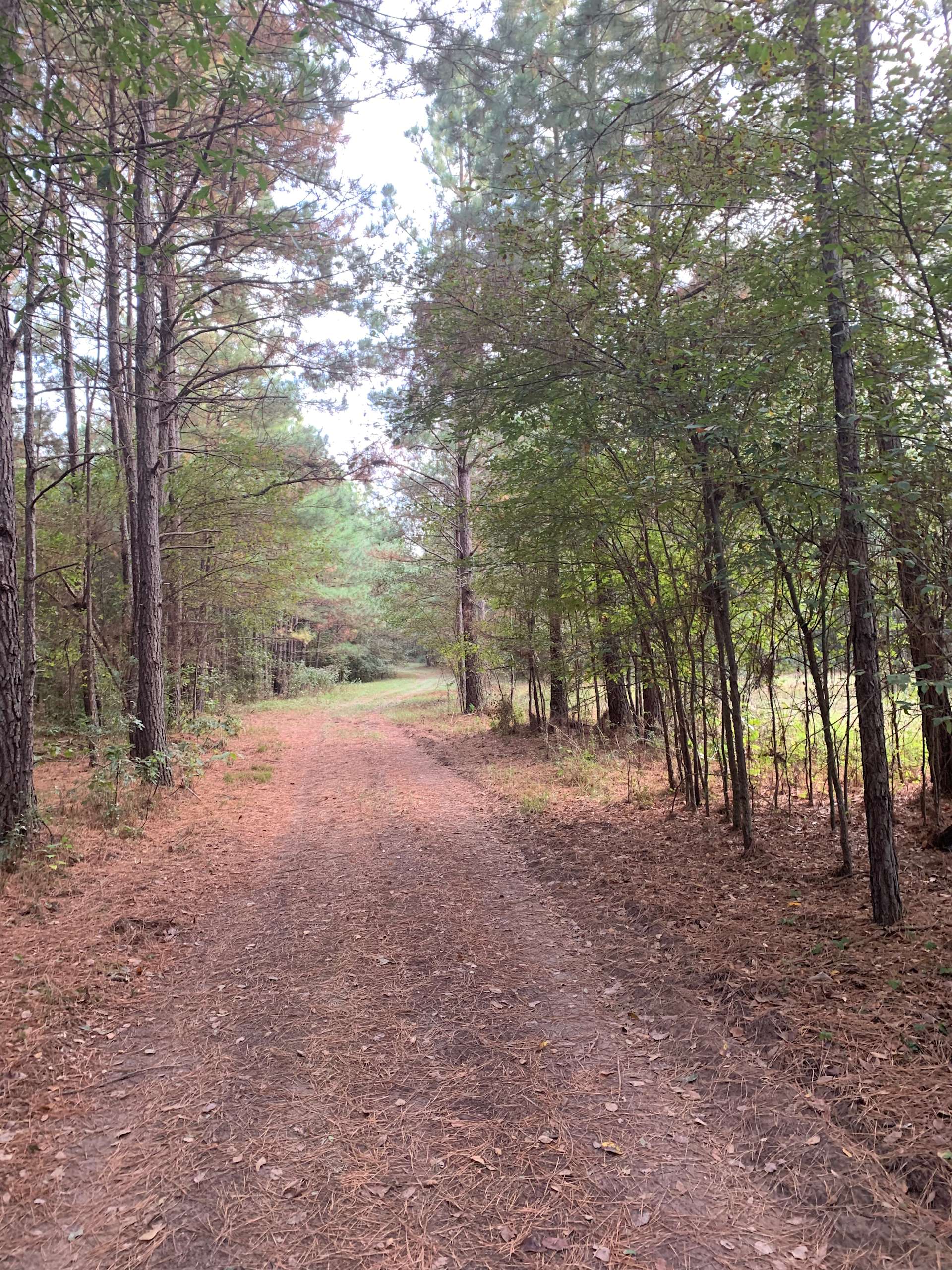 HFR Campsites & Retreats - Hipcamp in Pennington, Texas