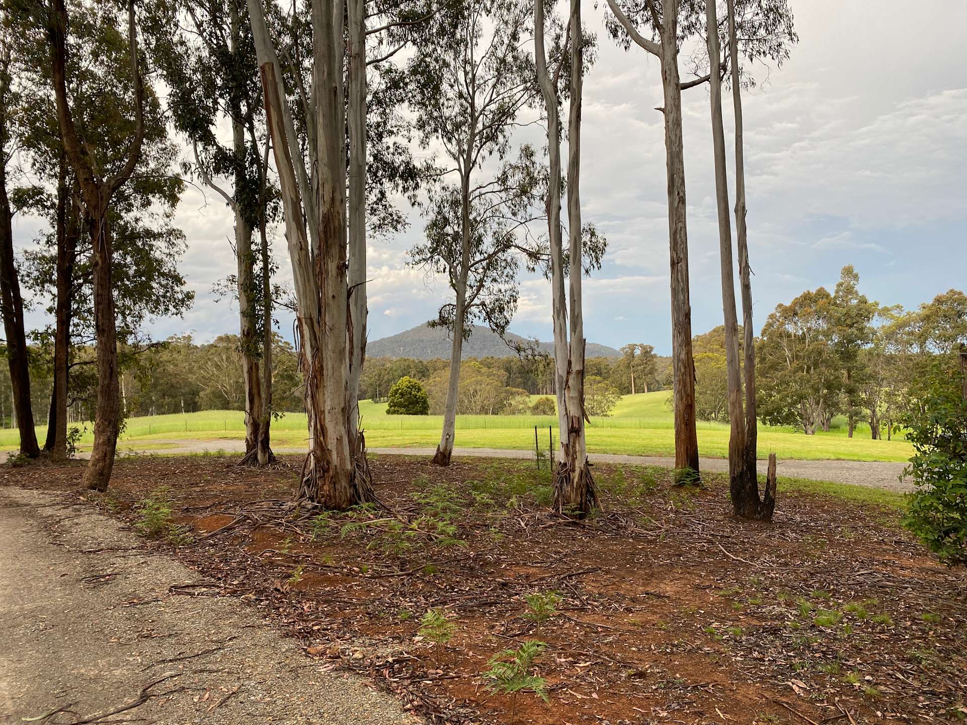 The Local-Bendoc Camping ground - Hipcamp in , Victoria