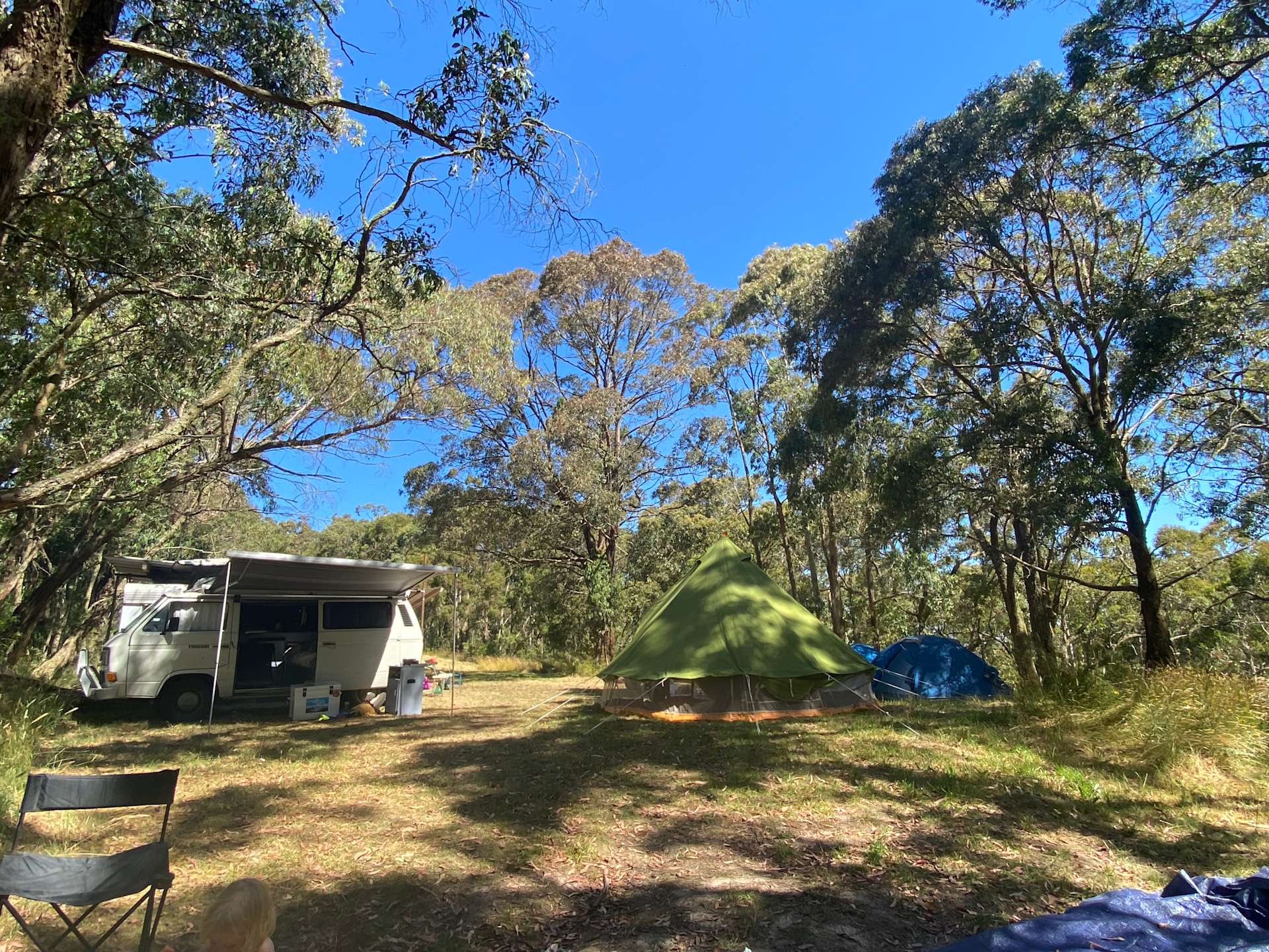Secluded Otways Forest Camp - Hipcamp in Deans Marsh, Victoria