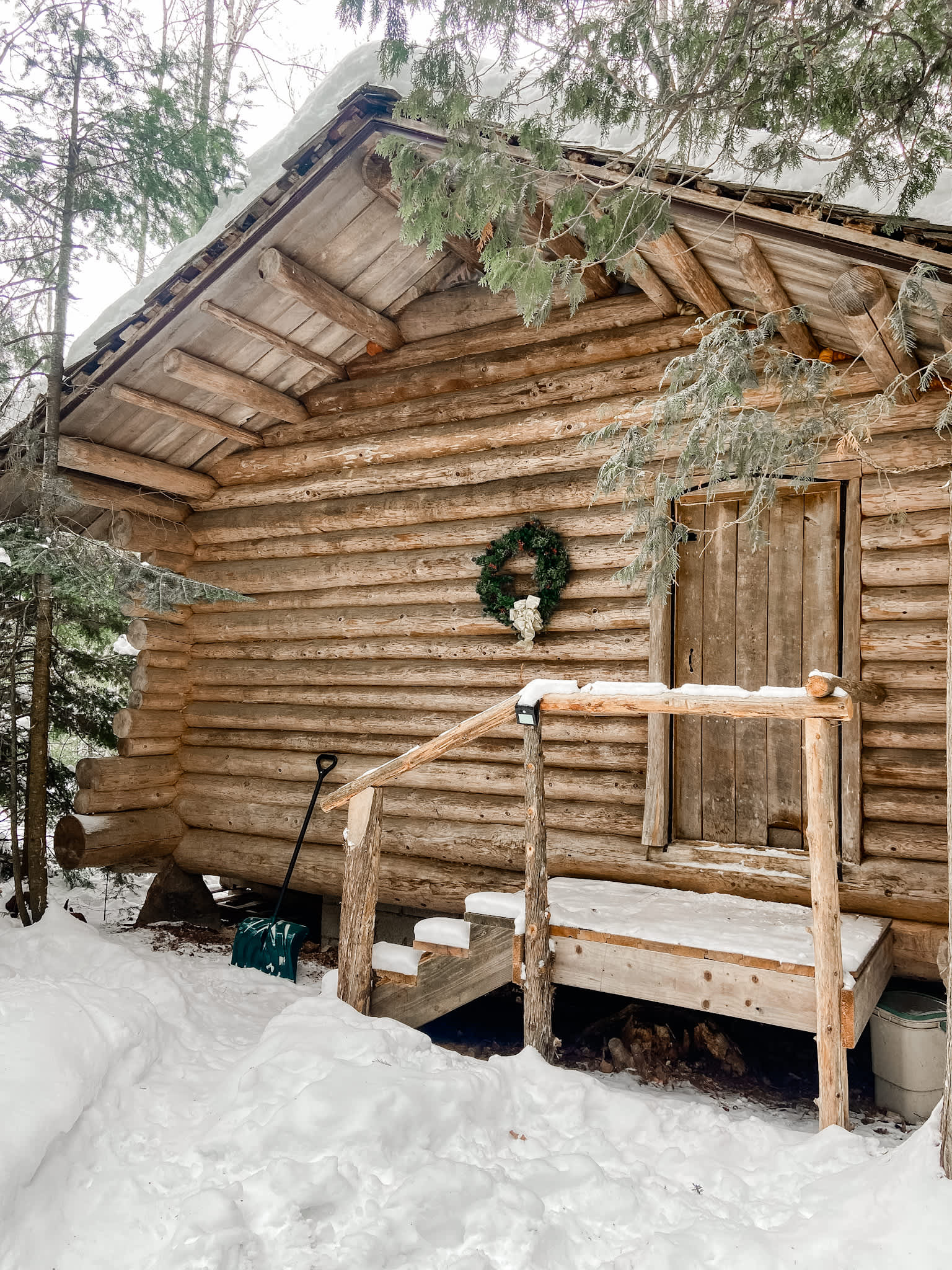 Bear Tree Homestead - Hipcamp in Trowbridge Park, Michigan