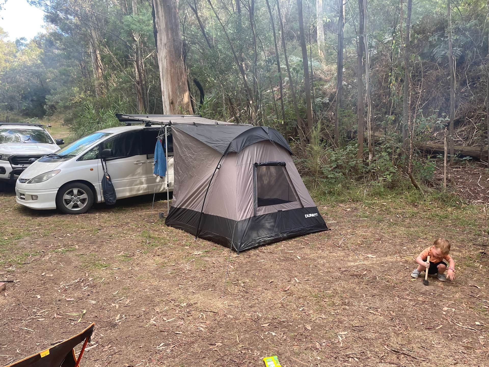 The Fern Glade - Hipcamp in Murrindindi, Victoria