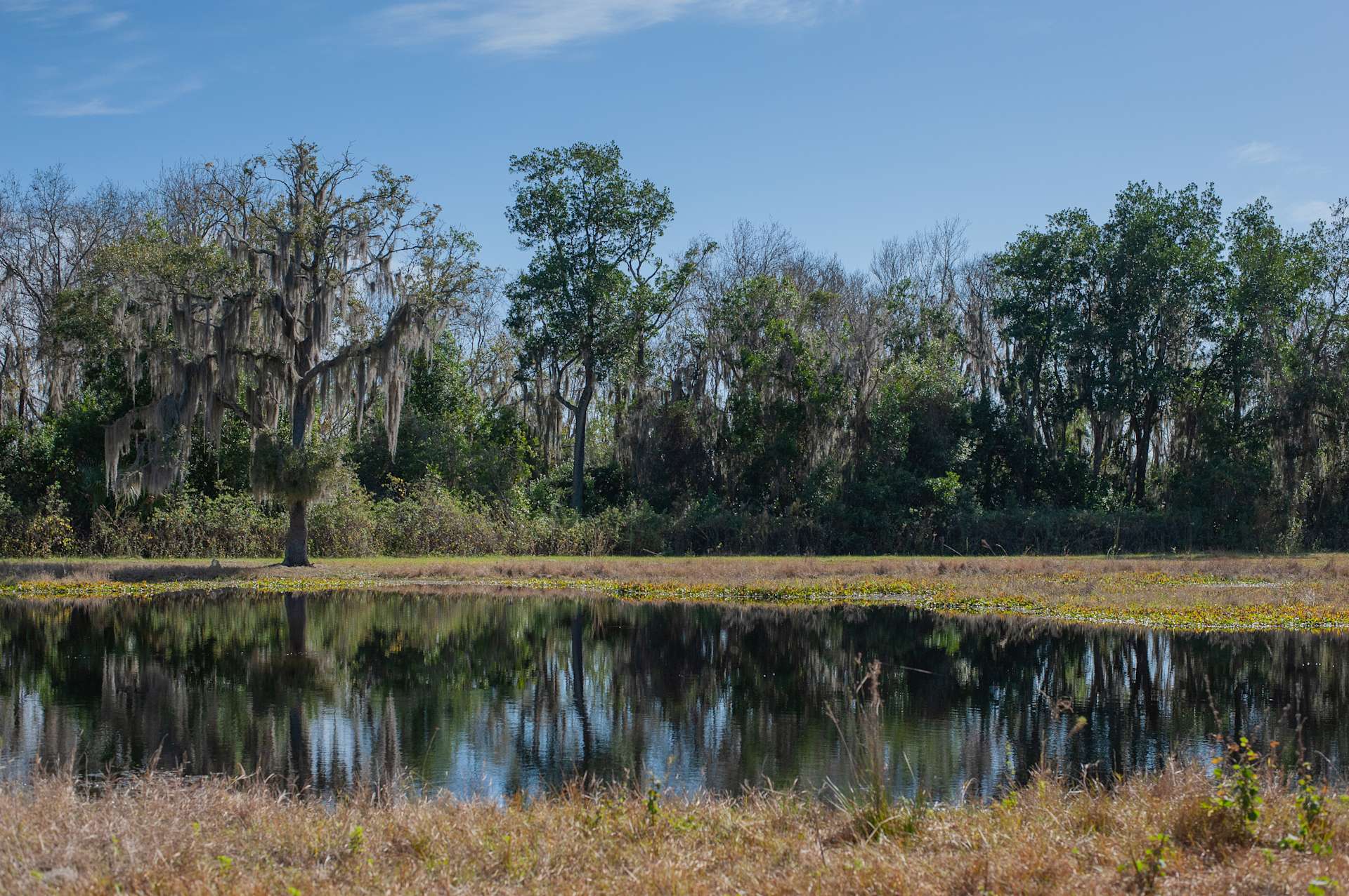 LAZY K RANCH SOUTH - Hipcamp in Lady Lake, Florida