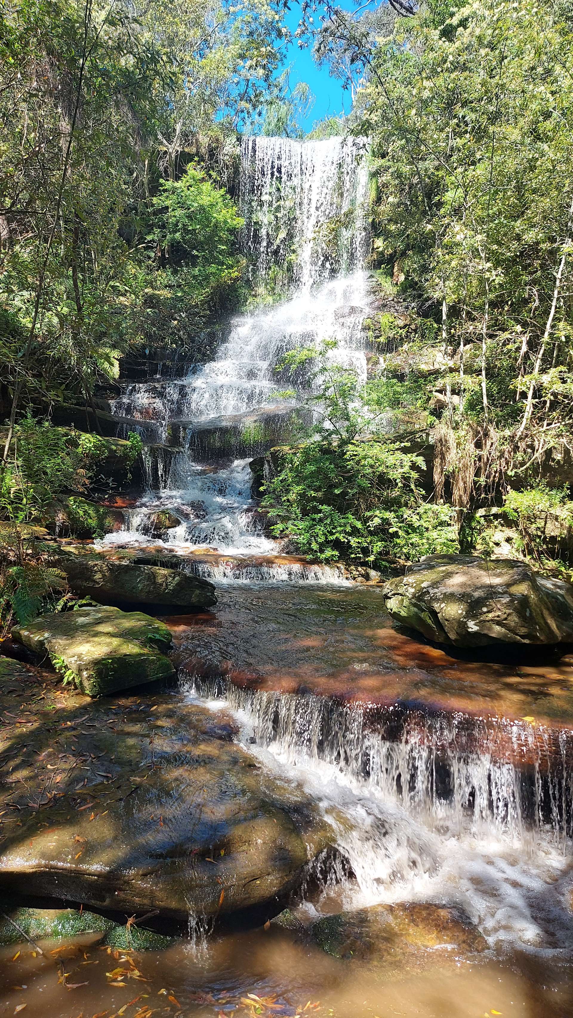Fern Valley Ranch - Hipcamp in Somersby, New South Wales