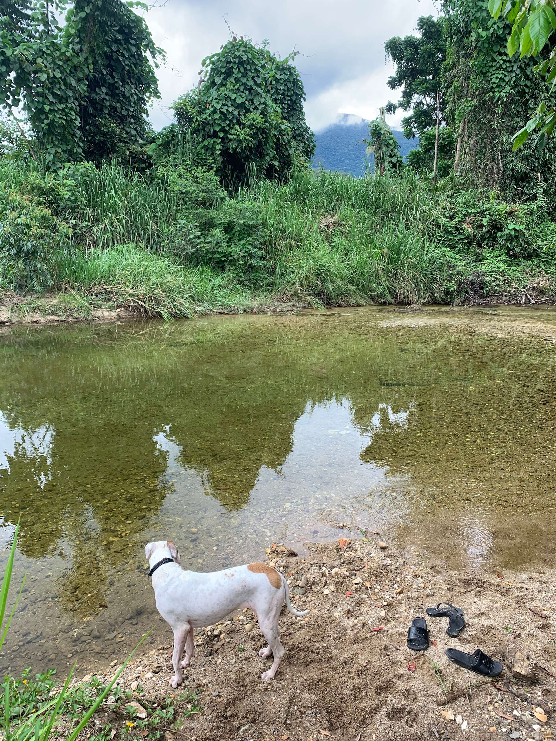 Mossman “Tati farm” stay. - Hipcamp in Miallo, Queensland