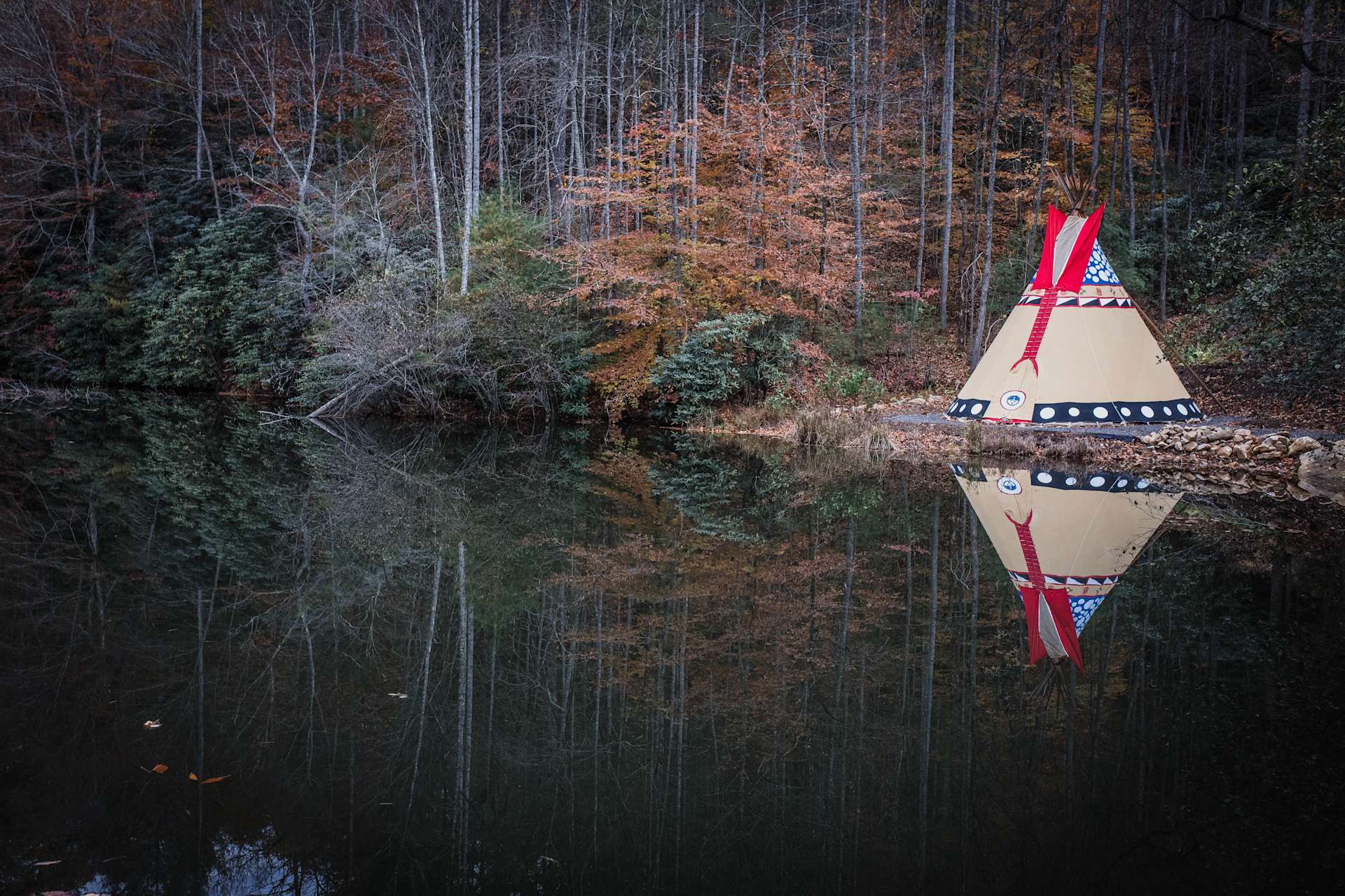 Blue Ridge Ranch - Hipcamp in Ferguson, North Carolina