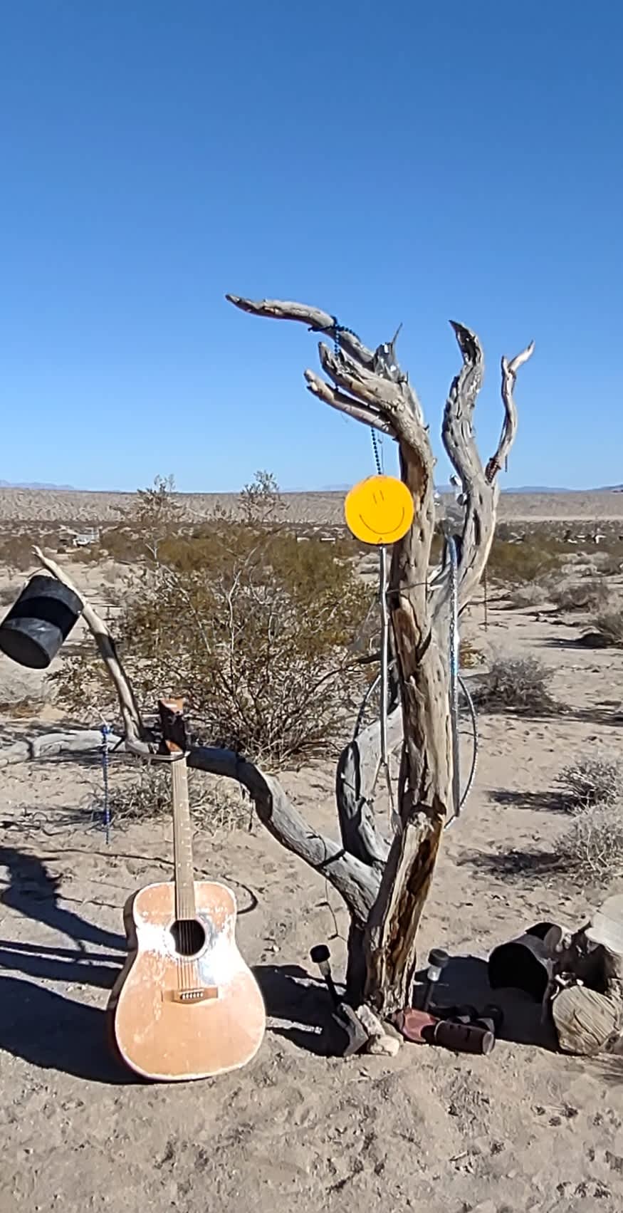 Tammy Reeves - Hipcamp in , California