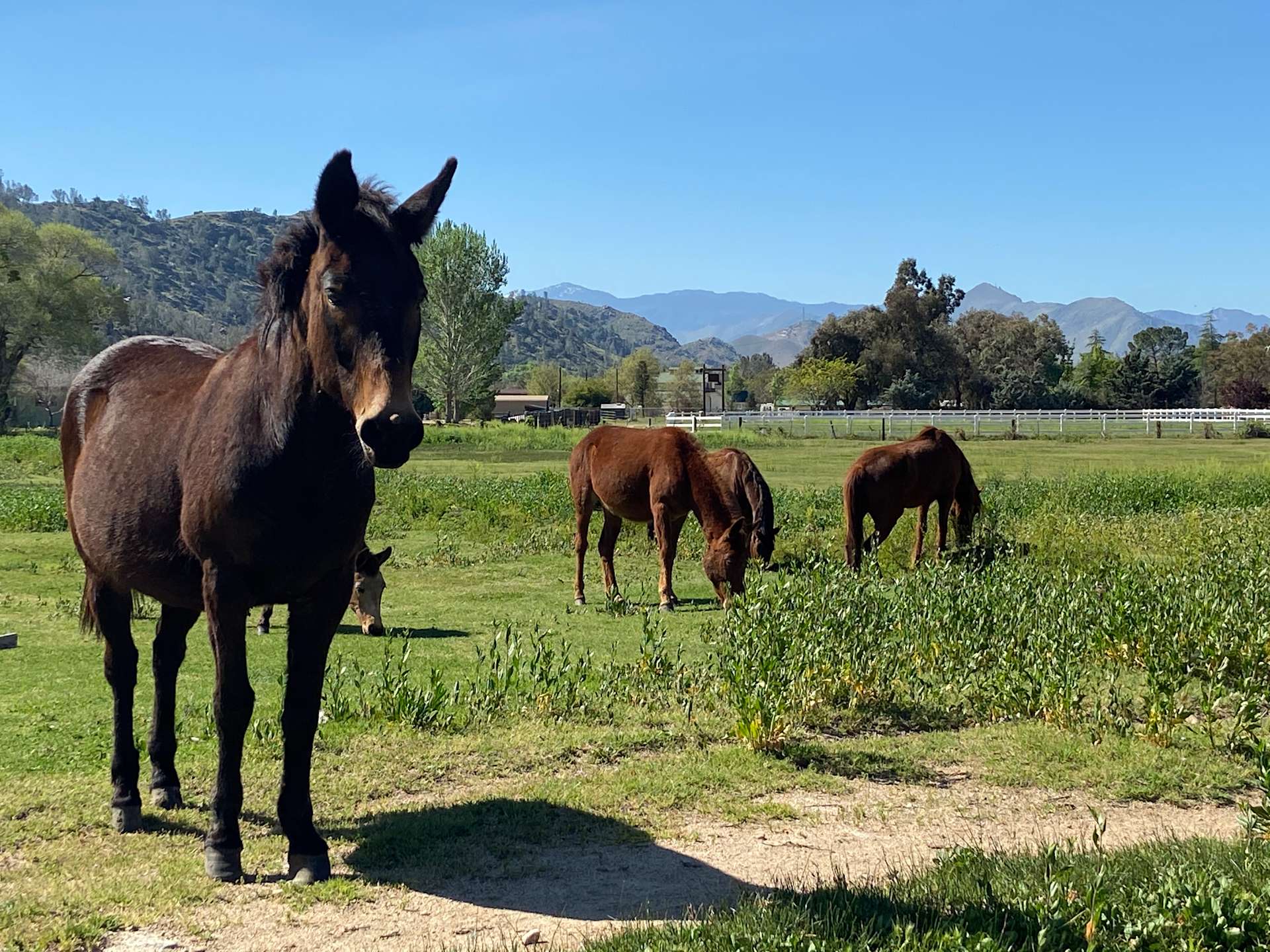 Kernville Ranch - Hipcamp in Kernville, California