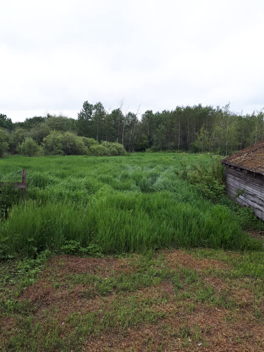 Victoria Trail Campground - Hipcamp in Vegreville, Alberta