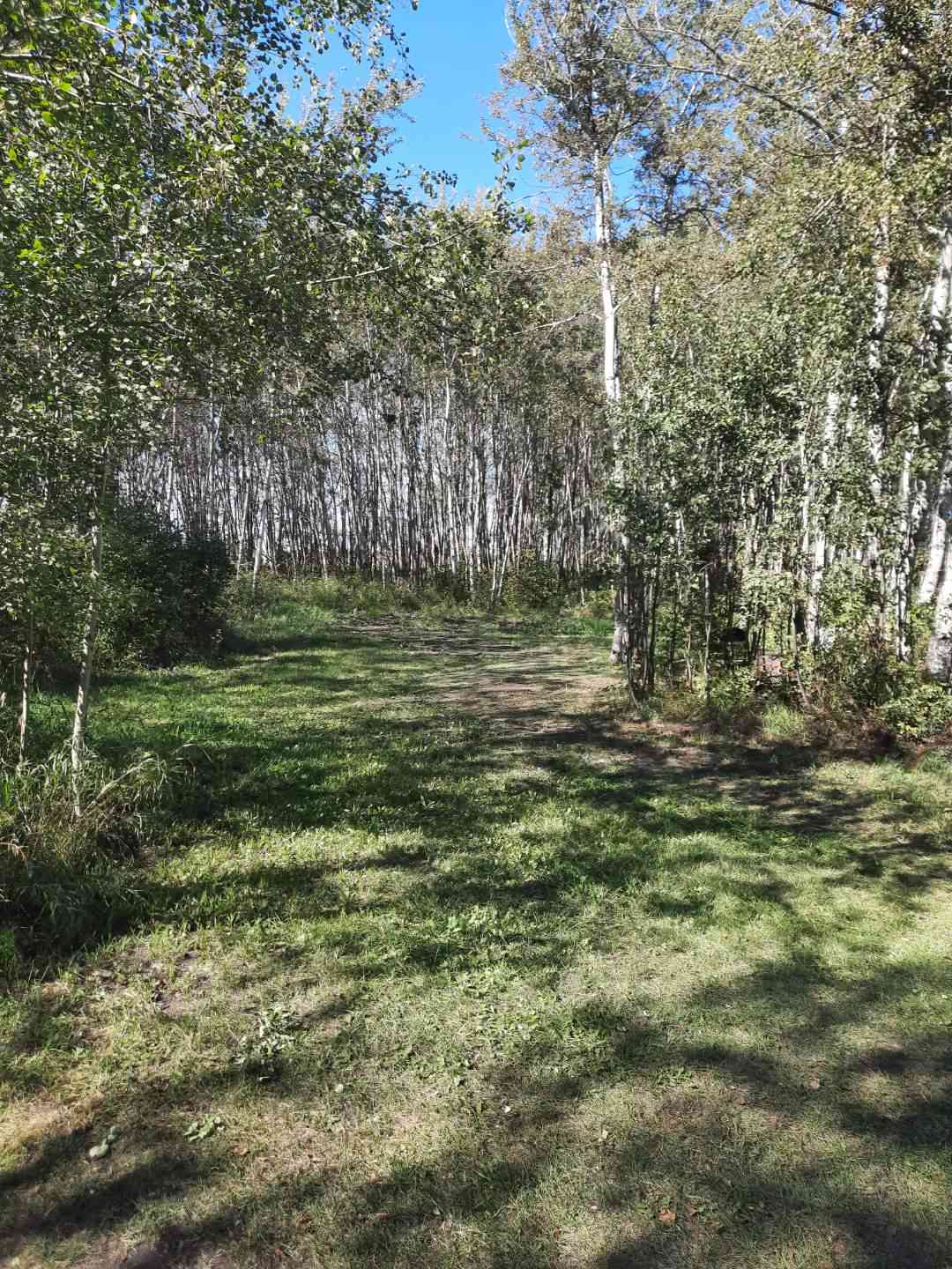 Victoria Trail Campground - Hipcamp in Vegreville, Alberta
