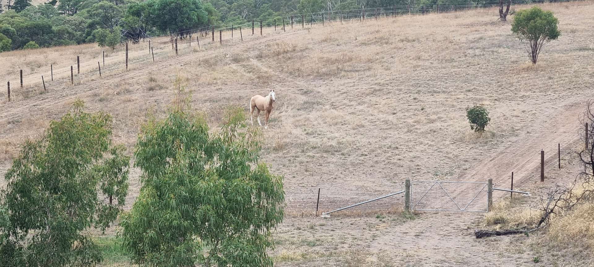 Cockatoo Valley Tiny Vacations - Hipcamp in Sandy Creek, South Australia