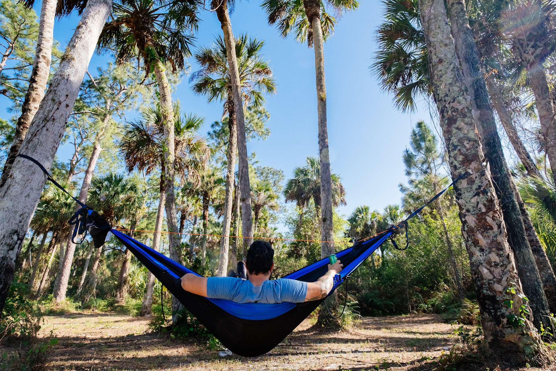 Swamp Cabbage Camp - Hipcamp in Naples, Florida