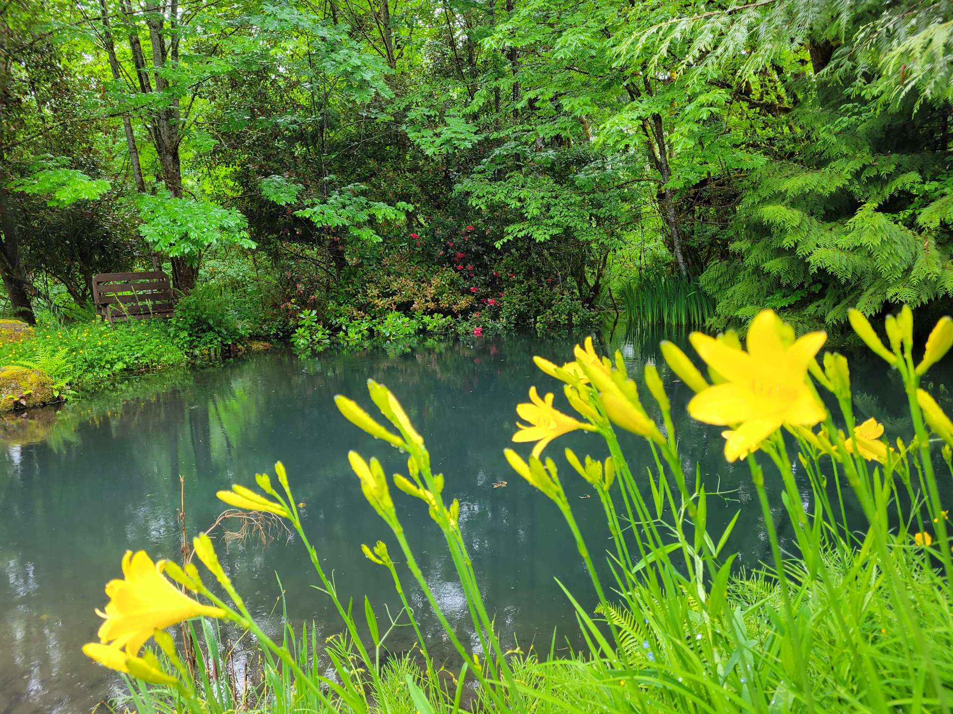 The Enchanted Forest - Hipcamp in Ashford, Washington