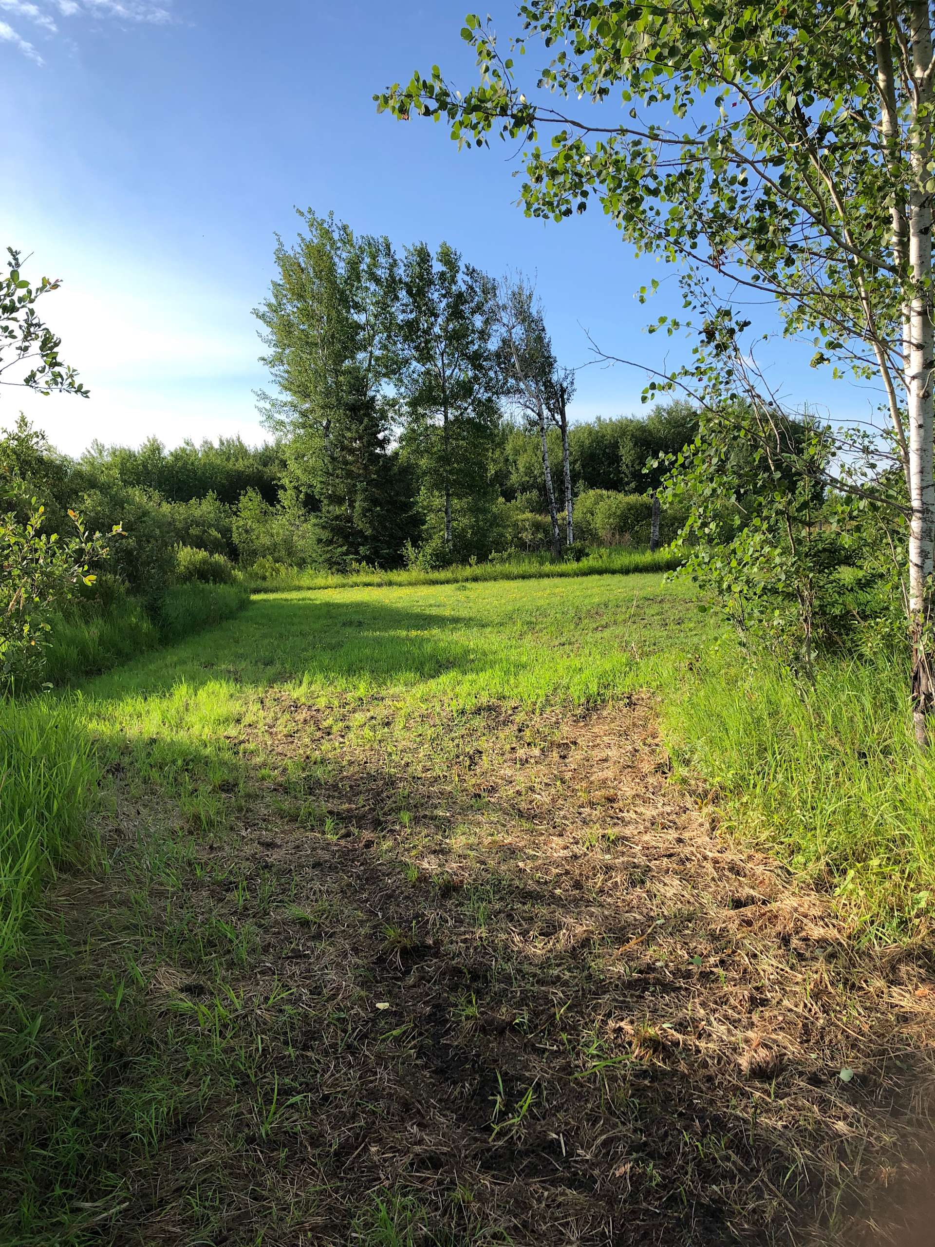 Adventure Awaits - Hipcamp in Angora, Minnesota