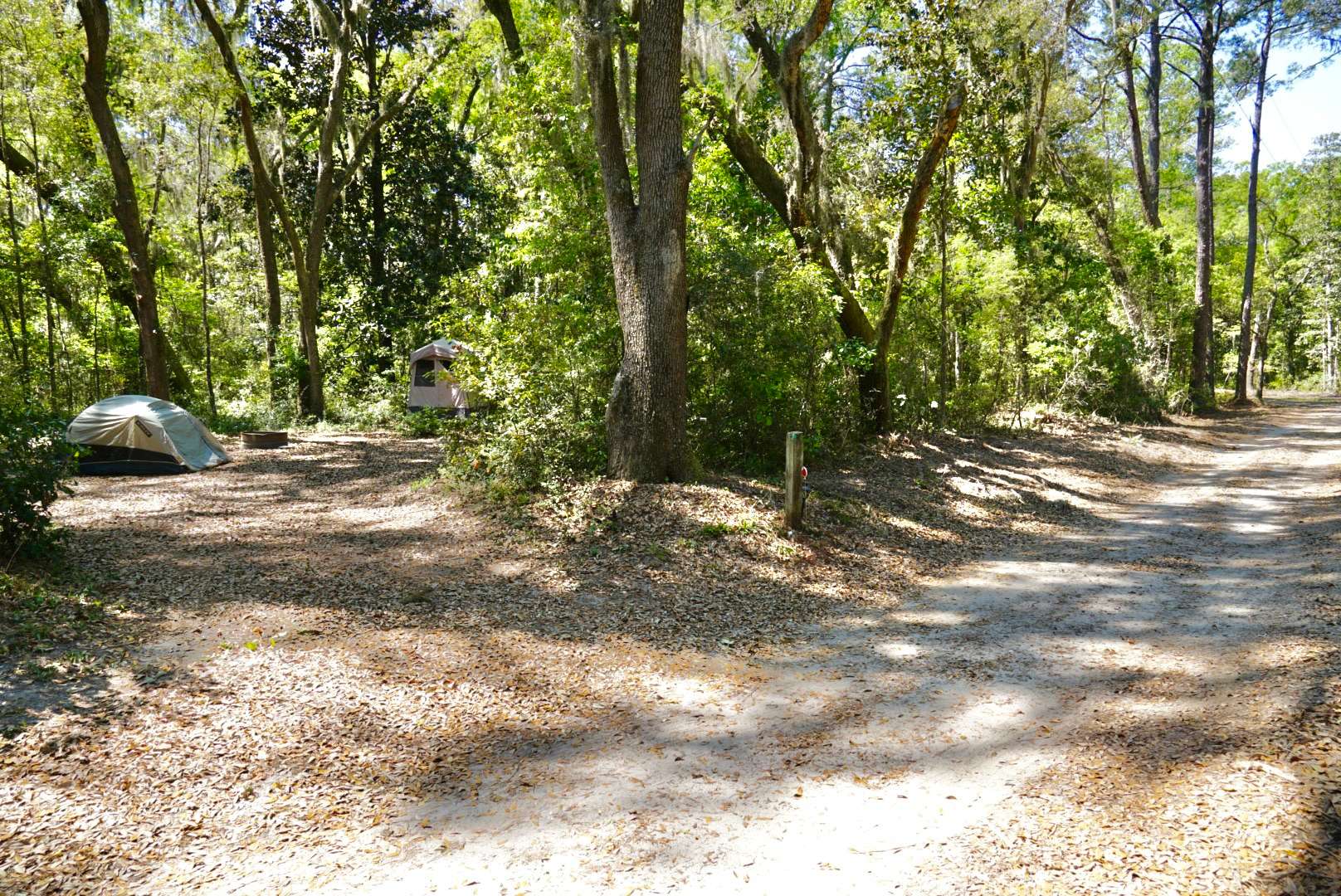 Friendly Fowl Farm - Hipcamp in Saint Helena Island, South Carolina