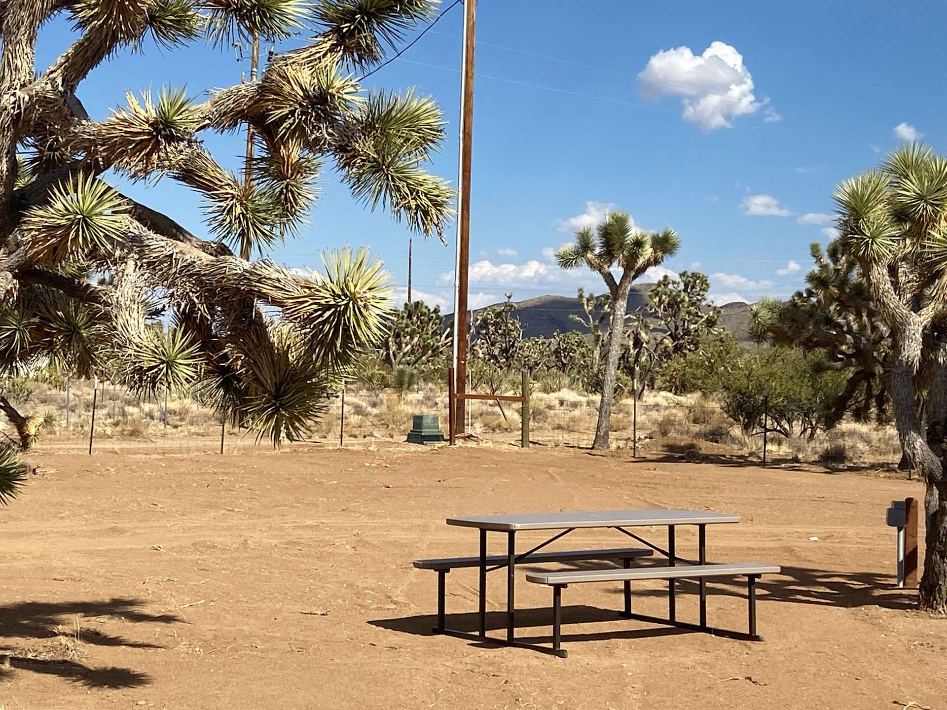 Joshua Tree Forest - Hipcamp in Dolan Springs, Arizona