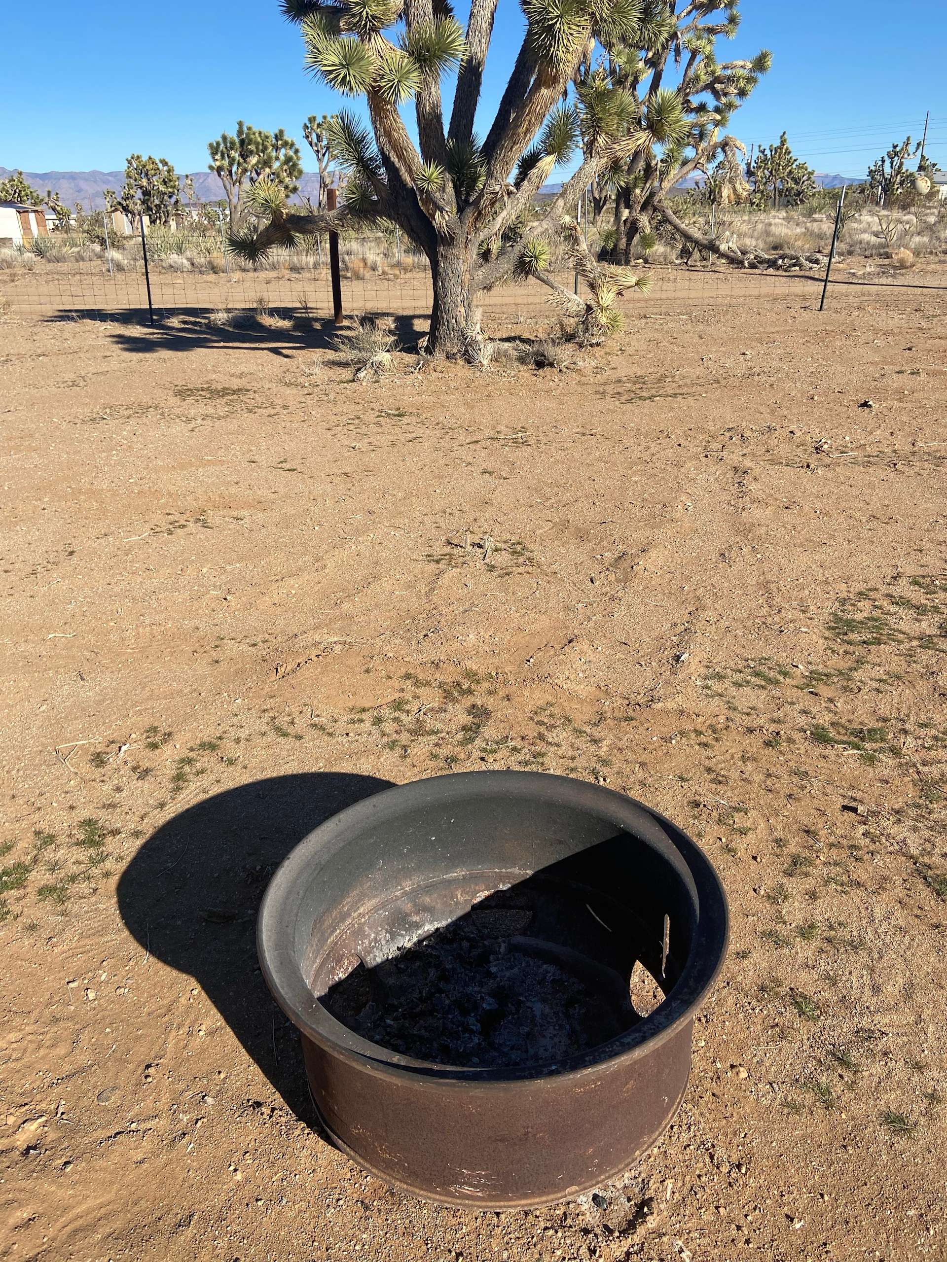Joshua Tree Forest - Hipcamp in Dolan Springs, Arizona
