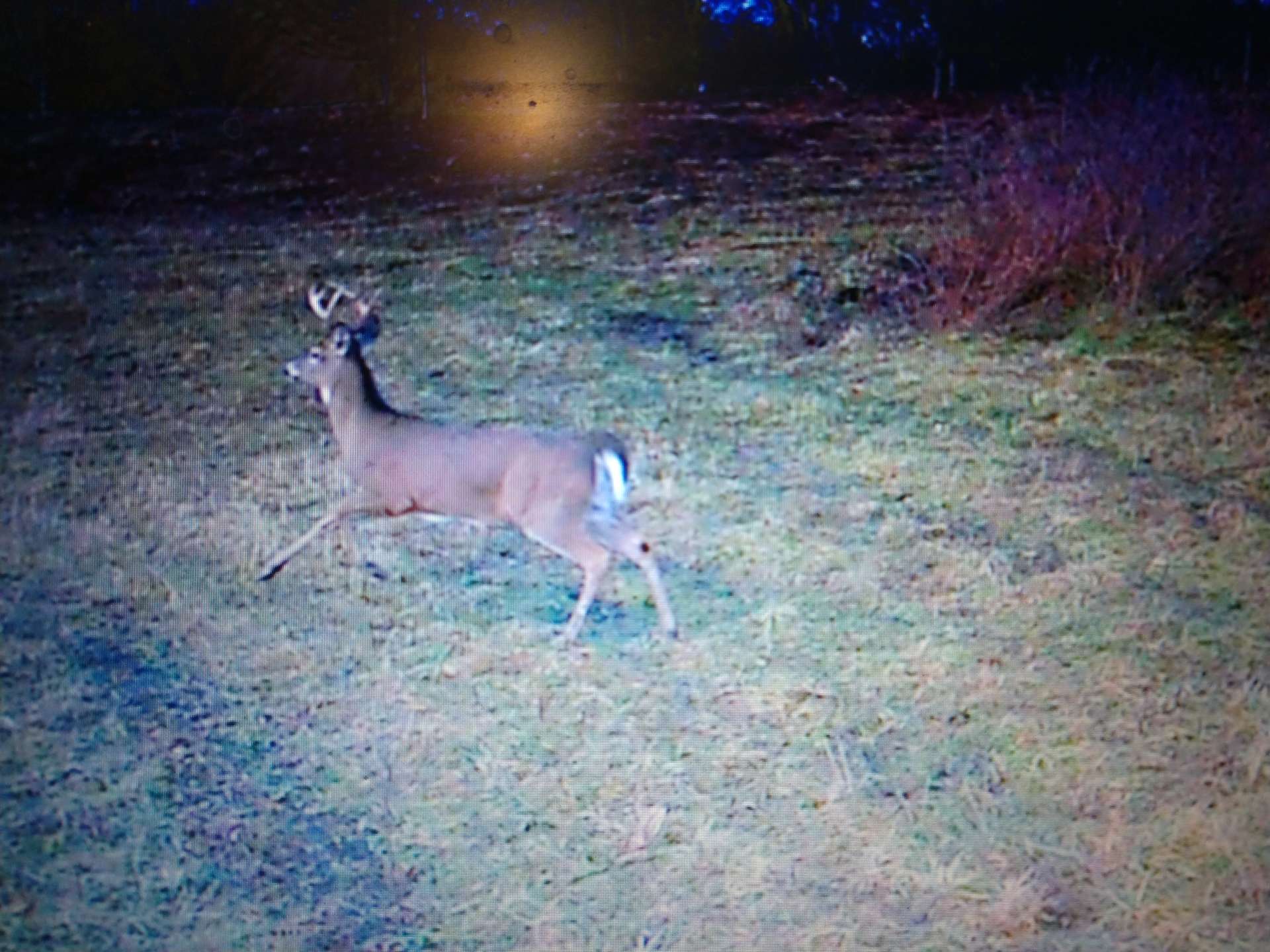 May Farms - Hipcamp in Erie, Pennsylvania