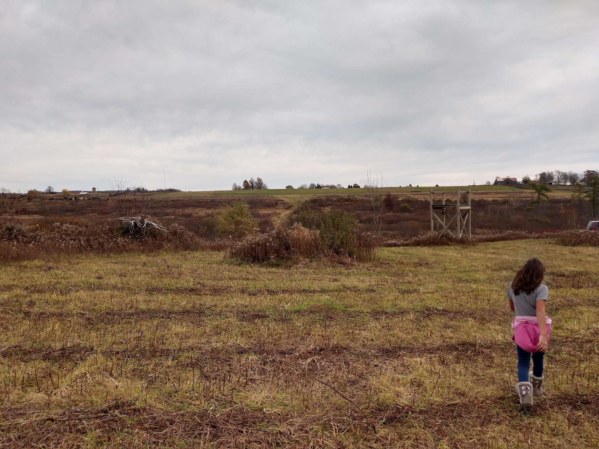 May Farms - Hipcamp in Erie, Pennsylvania