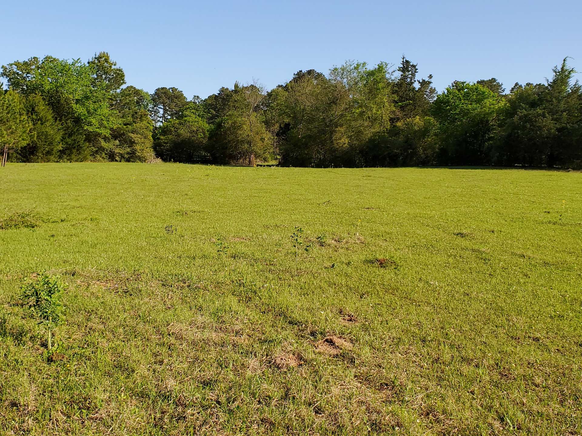 M Rockin C Ranch - Hipcamp in Grapeland, Texas
