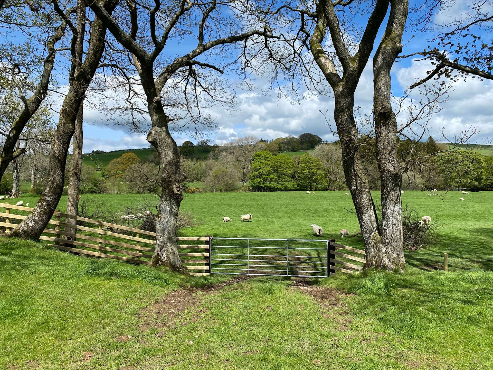 Gwersyllt Rhos y Gallt Campsite - Hipcamp in Powys, Wales