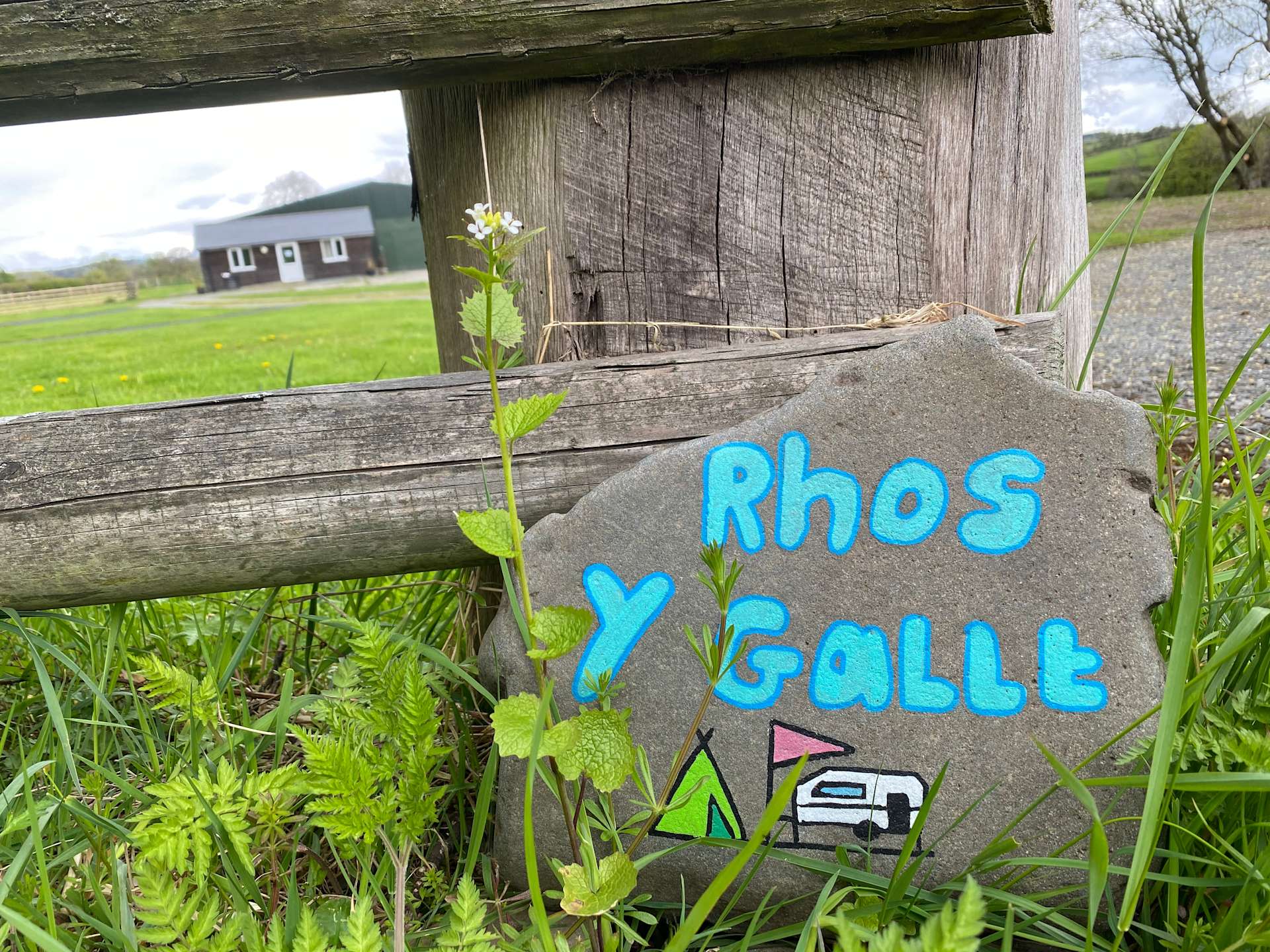 Gwersyllt Rhos y Gallt Campsite - Hipcamp in Powys, Wales