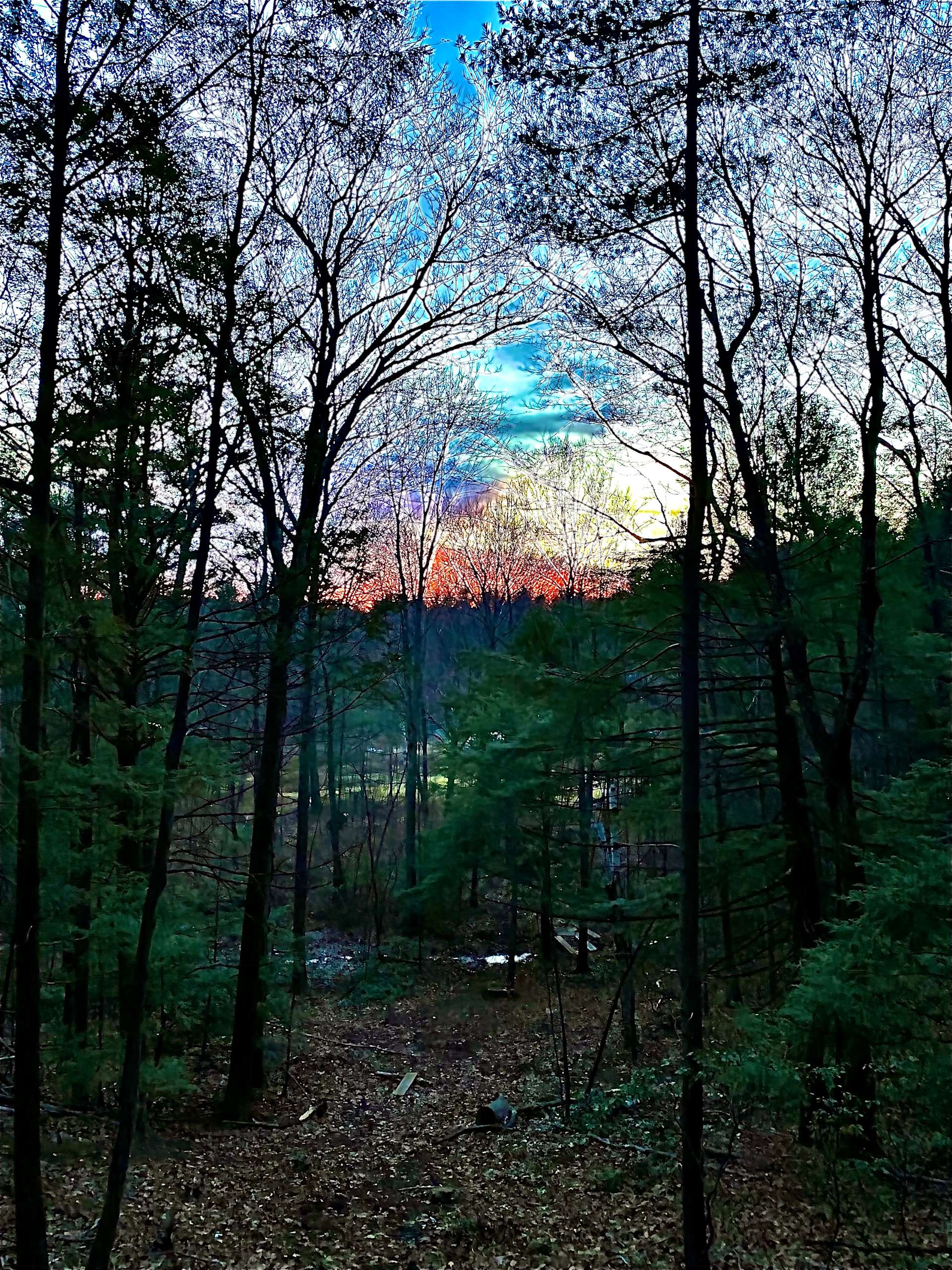 Hickory ridge - Hipcamp in , Massachusetts