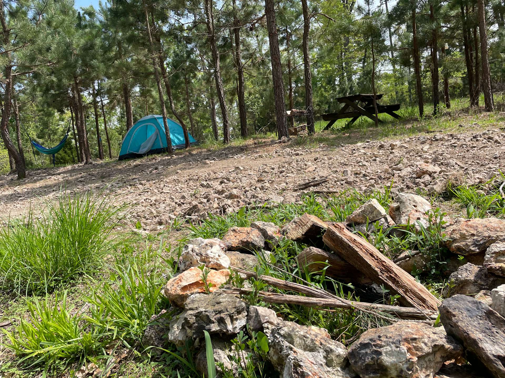 Happy Hippy Acres Wooded Wonderland - Hipcamp in Rogers, Arkansas