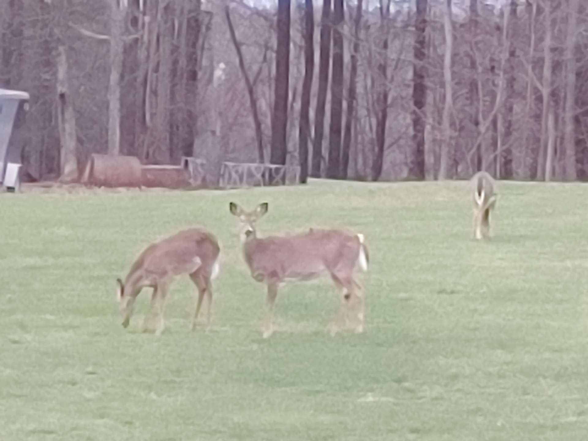 Goose Pond View - Hipcamp in Burlington, Pennsylvania