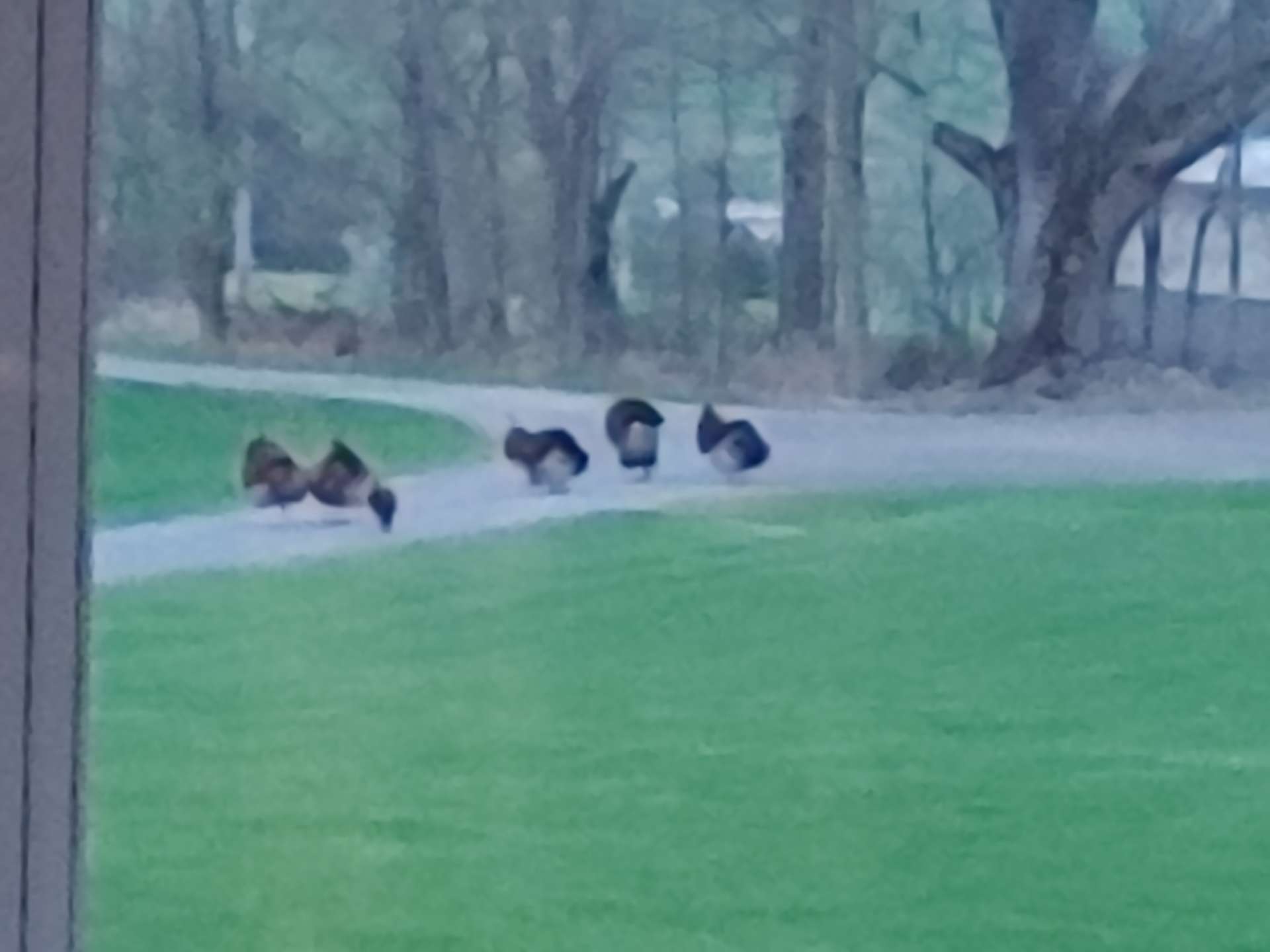 Goose Pond View - Hipcamp in Burlington, Pennsylvania