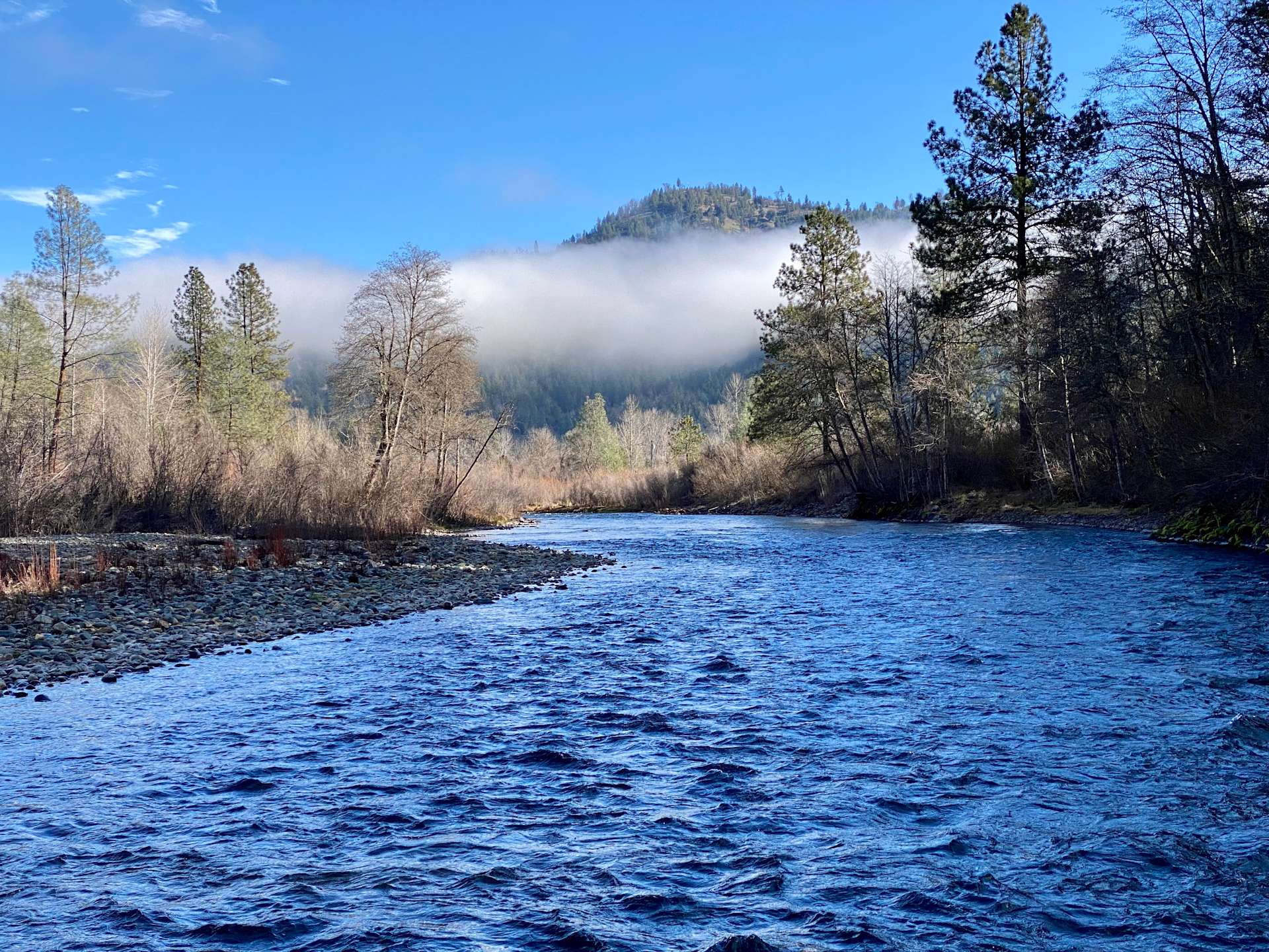 Trinity River FlyCamp - Hipcamp in Lewiston, California