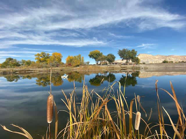 Colorado River Animal Sanctuary - Hipcamp in Clifton, Colorado