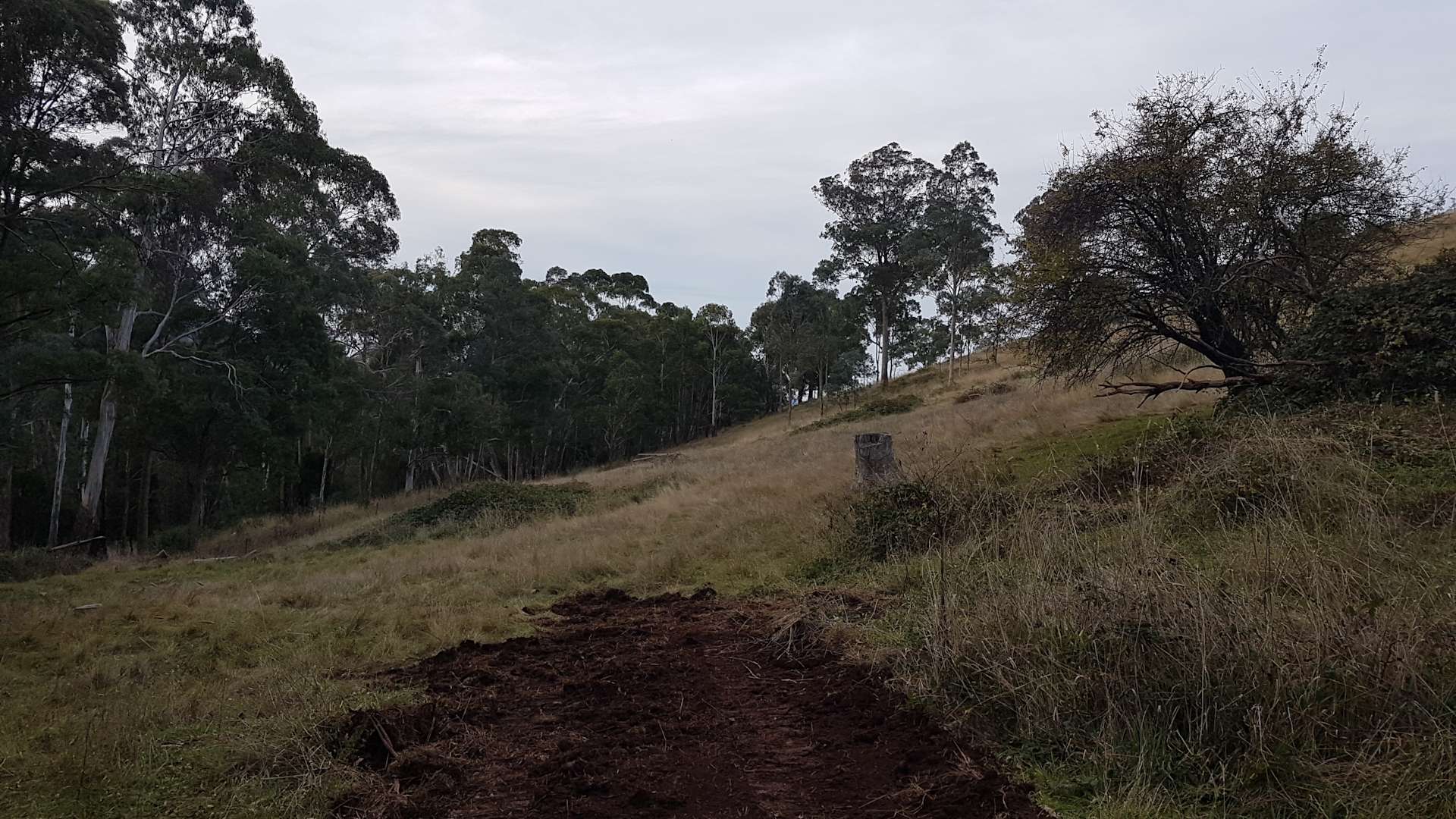 Mountain Solace - Hipcamp in Tatong, Victoria