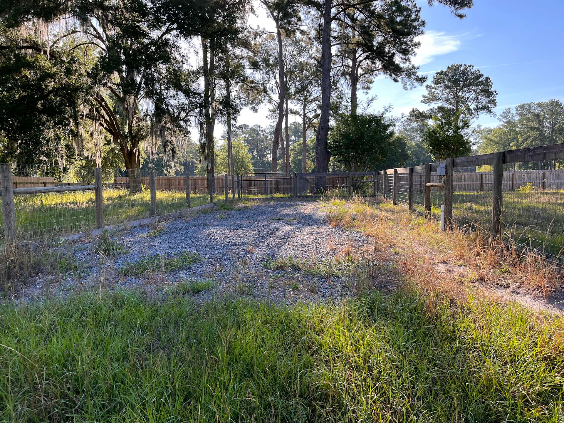 Hanser Ranch - Hipcamp in Morriston, Florida