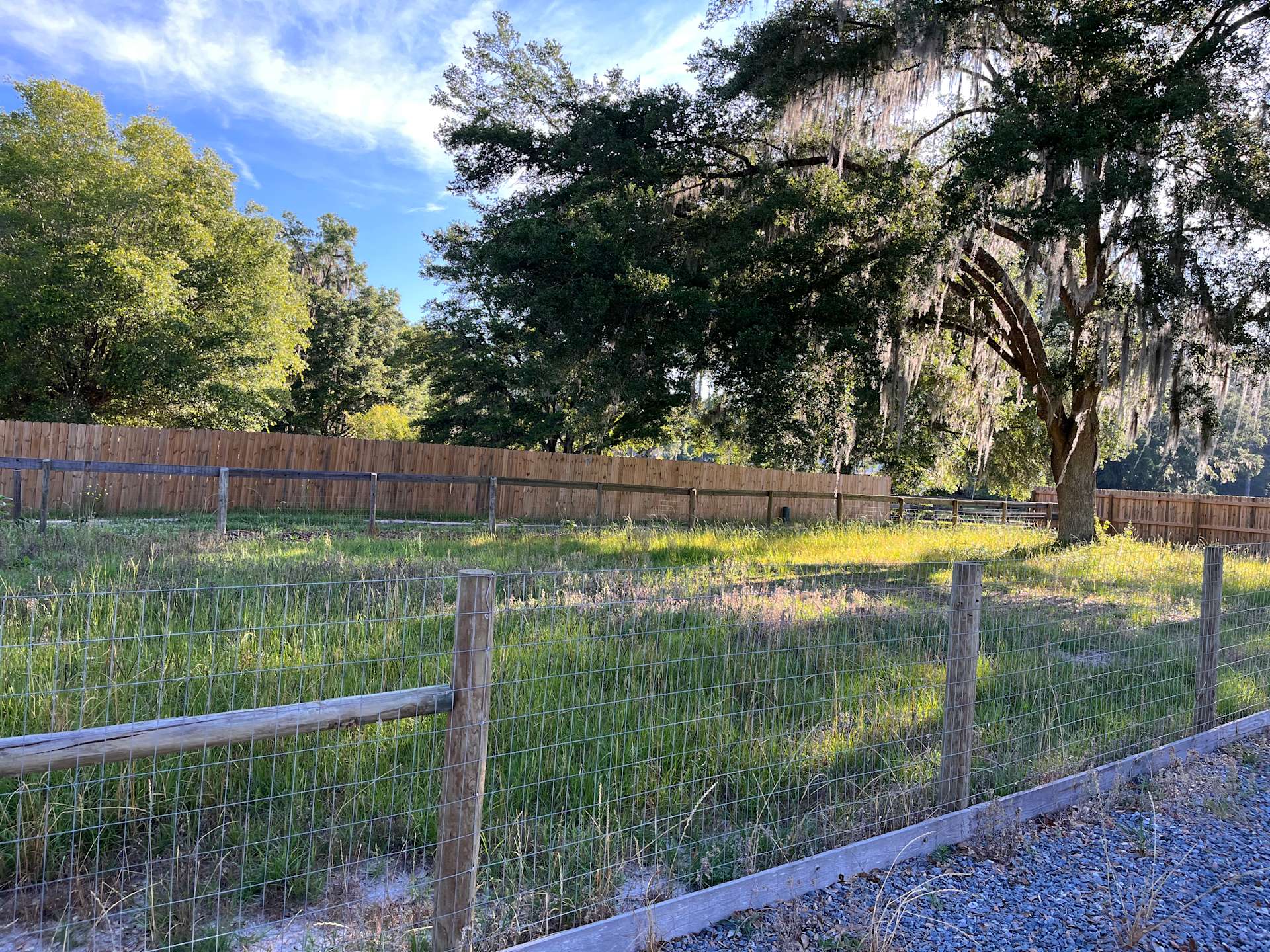 Hanser Ranch - Hipcamp in Morriston, Florida