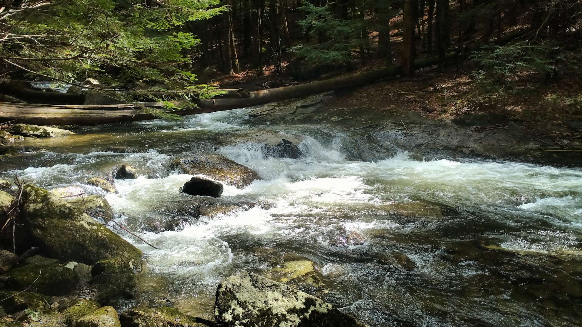 Shantytown on Mink Brook - Hipcamp in Hanover, New Hampshire