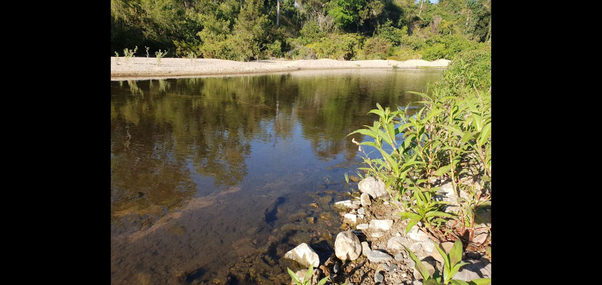 Blackiron - Hipcamp in Andromache, Queensland