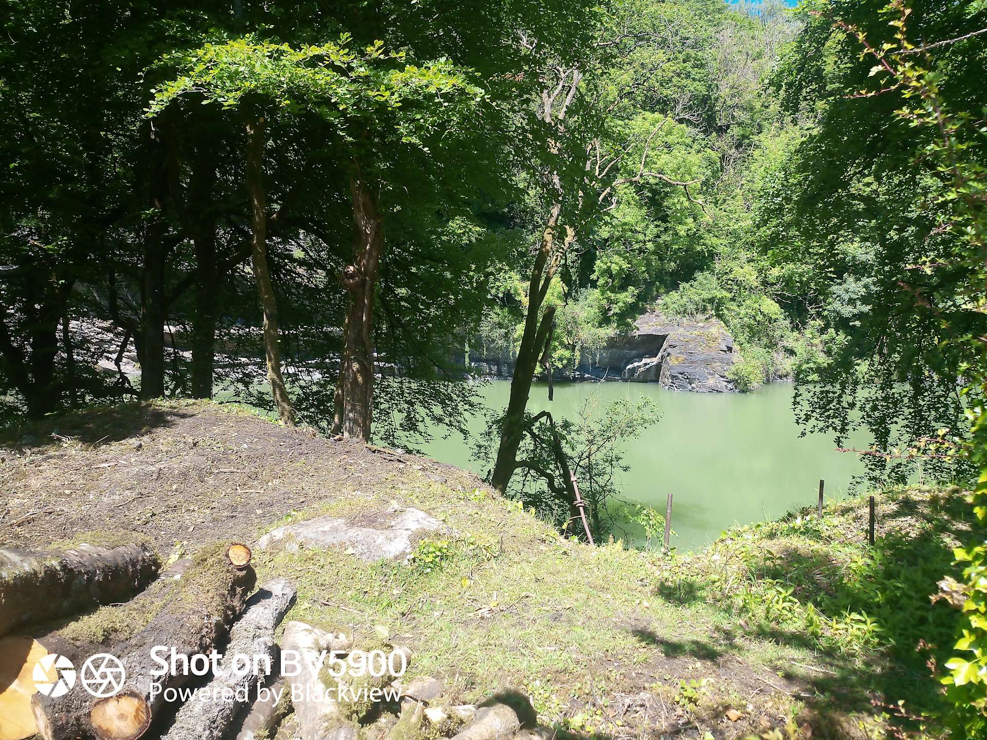 Meldon Lake and Woods - Hipcamp in Okehampton, England